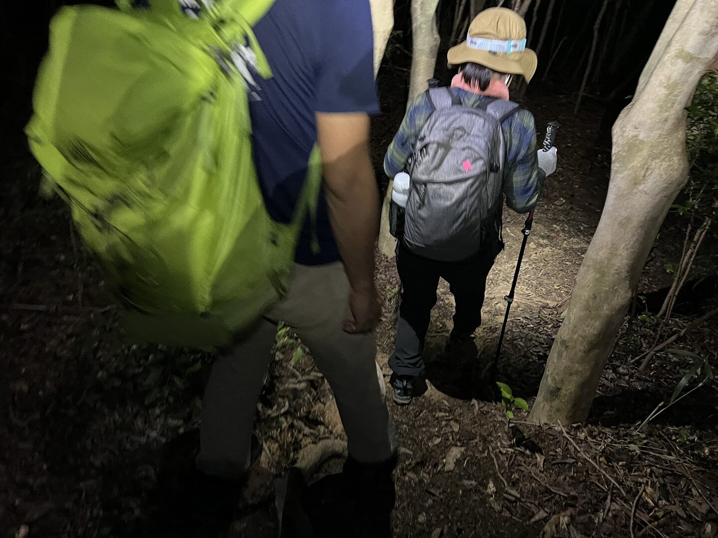 夜間の山登り。 山の上の方が明るい場所も... / marikoさんのモーメント | YAMAP / ヤマップ