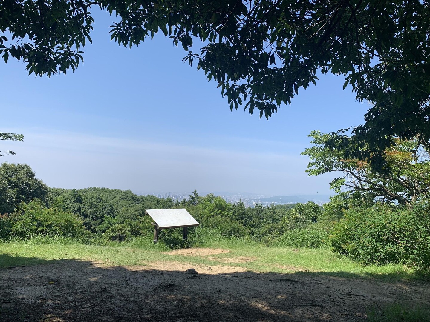 龍ノ口山-2023-06-17 / kinocoさんの龍ノ口山の活動データ | YAMAP / ヤマップ