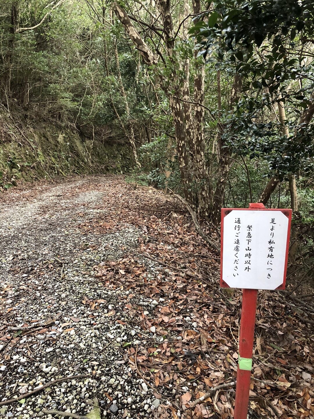 ゆっこさんの投稿したフィールドメモ | YAMAP / ヤマップ