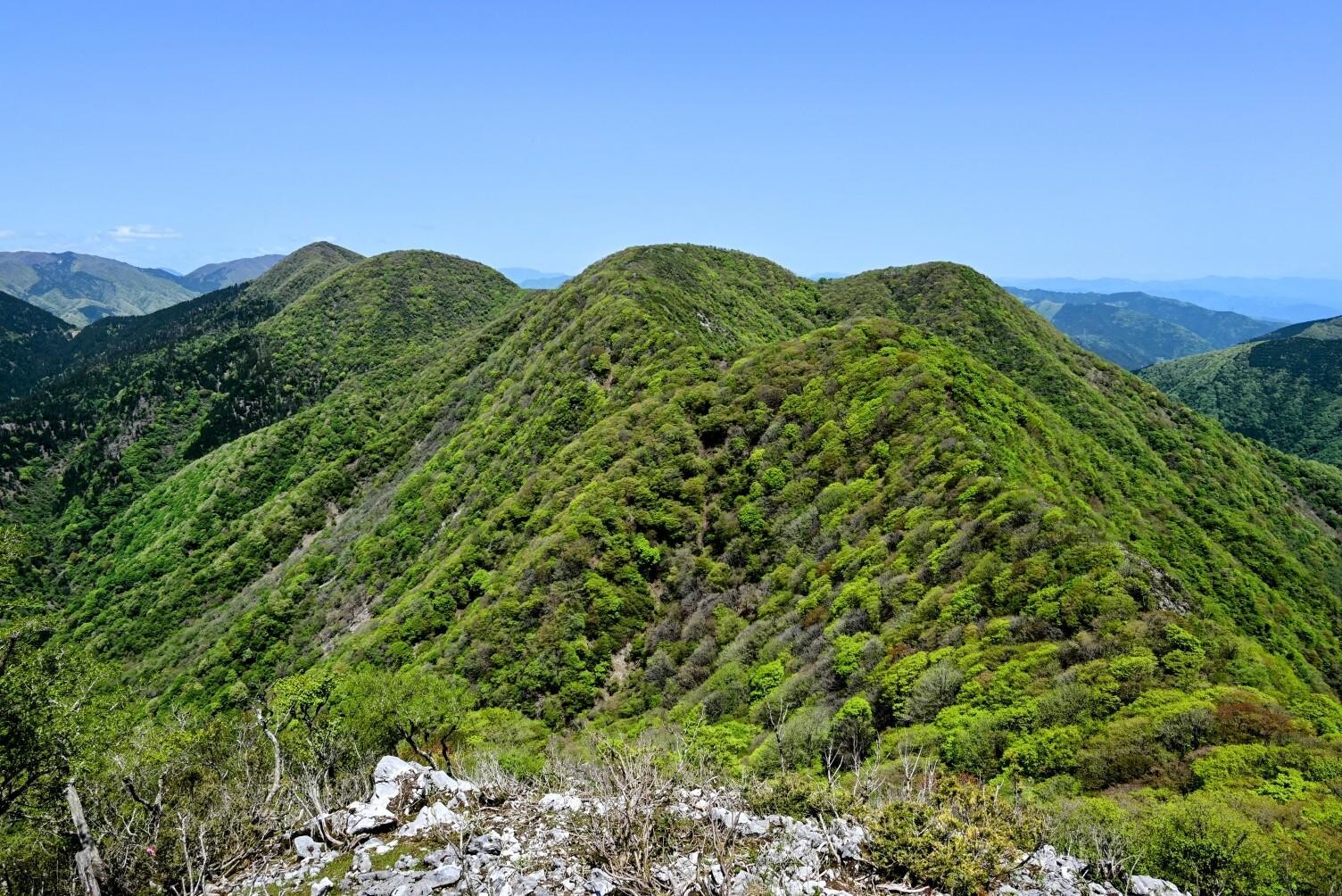 伊吹北尾根縦走/さざれ石公園〜国見峠 / 4416さんの伊吹山・伊吹高原・御座峰の活動データ | YAMAP / ヤマップ