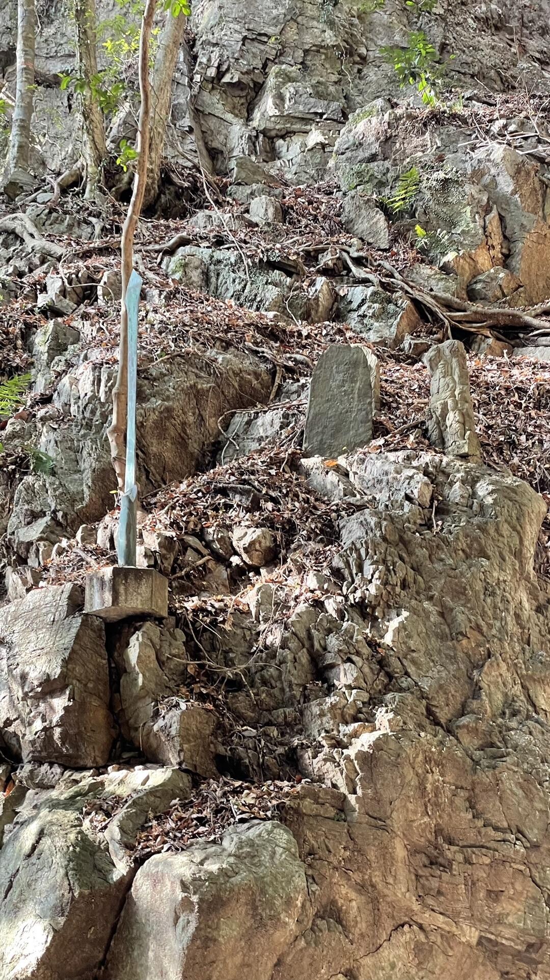 本宮山 荒沢不動コース / pickji28さんの本宮山・大日山・風頭山の活動データ | YAMAP / ヤマップ