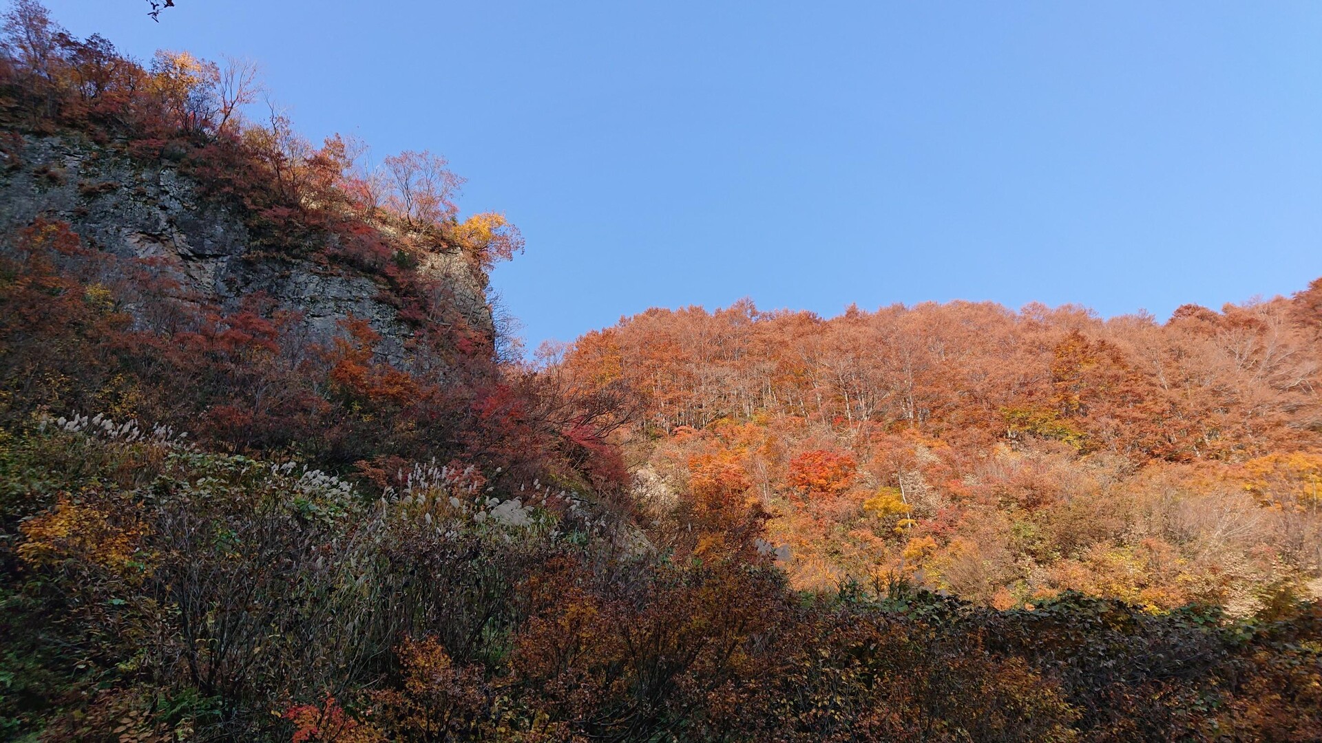 裏巻機渓谷2023-11-05 / tmykさんの巻機山・割引岳・金城山の活動データ | YAMAP / ヤマップ