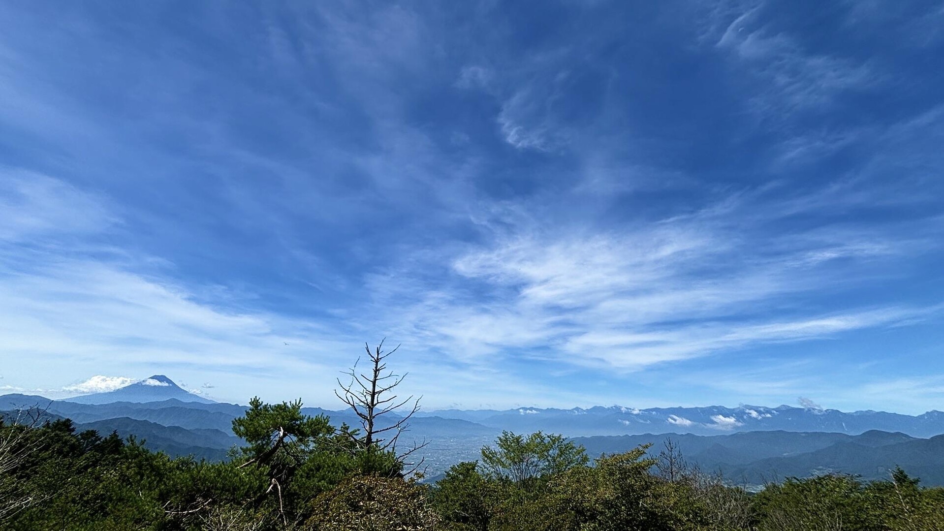 柳沢ノ頭・ハンゼノ頭 / ziziさんの大菩薩嶺・鶏冠山・大マテイ山の活動データ | YAMAP / ヤマップ