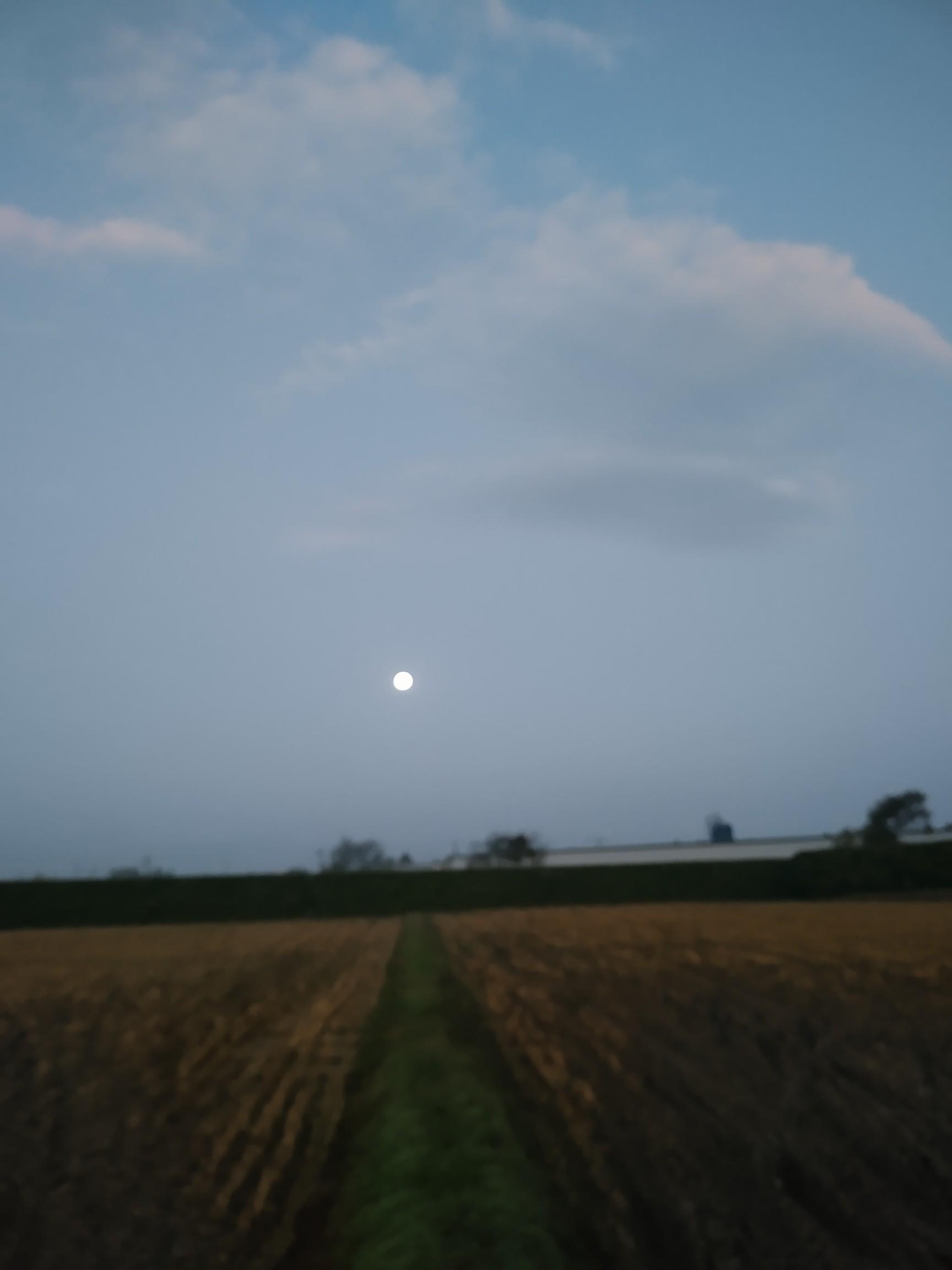 月光朝running-2023-11-28 / べにさんの登山の活動データ | YAMAP / ヤマップ