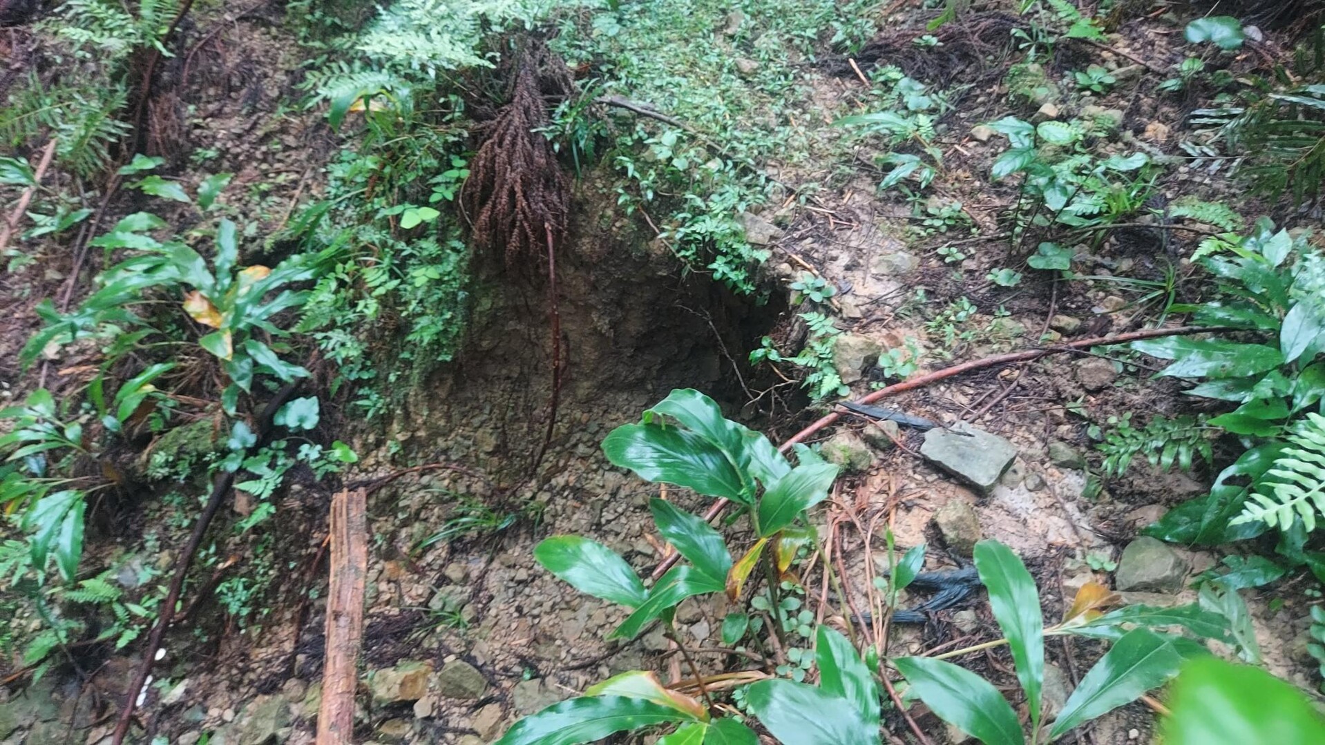 piropiroさんの投稿したフィールドメモ | YAMAP / ヤマップ