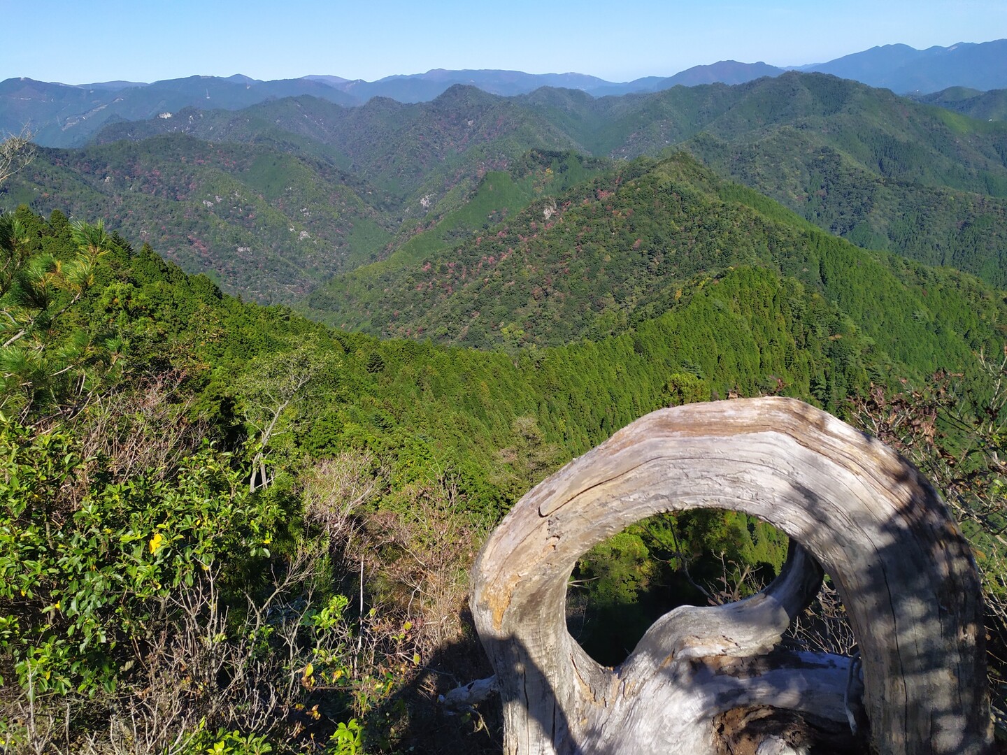 Nagusayama circle-2019-11-02 / kost_japさんの七種山の活動データ | YAMAP / ヤマップ