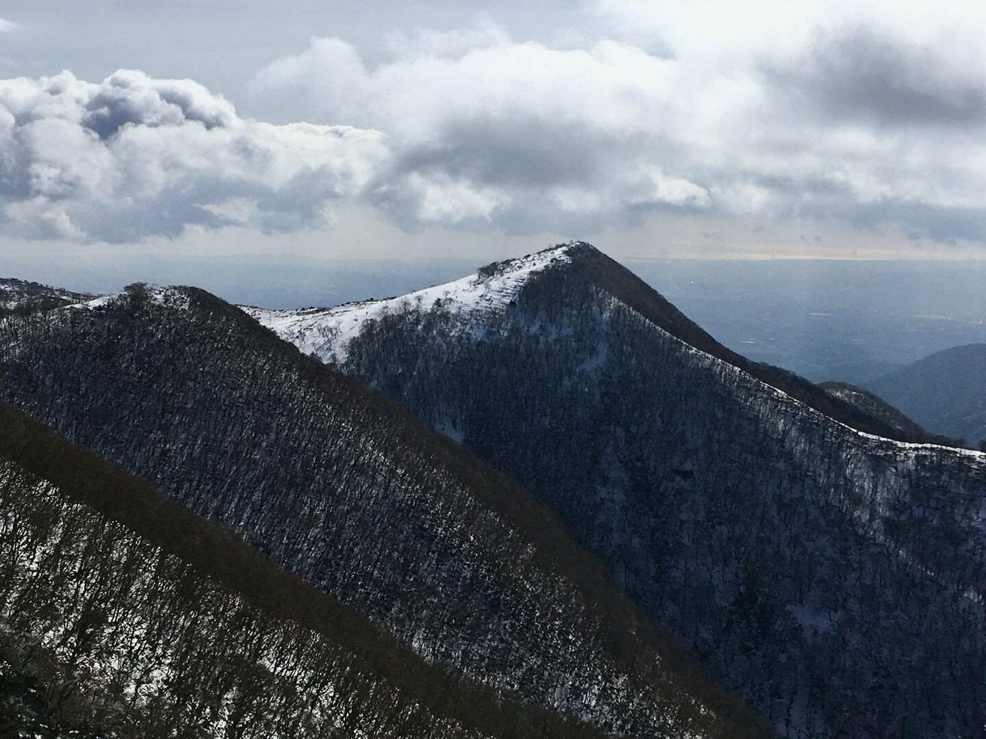 305：藤原岳にて 立春の雪を味わう / pc40jackさんの藤原岳・御池岳の活動データ | YAMAP / ヤマップ