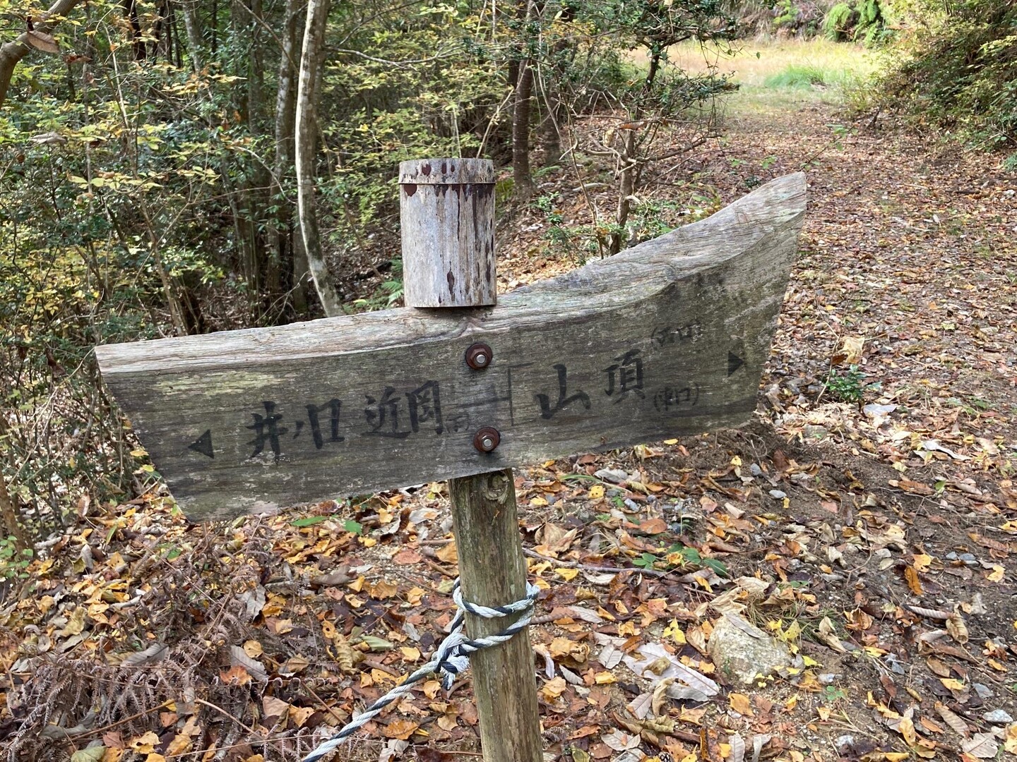 NORYさんの投稿したフィールドメモ | YAMAP / ヤマップ