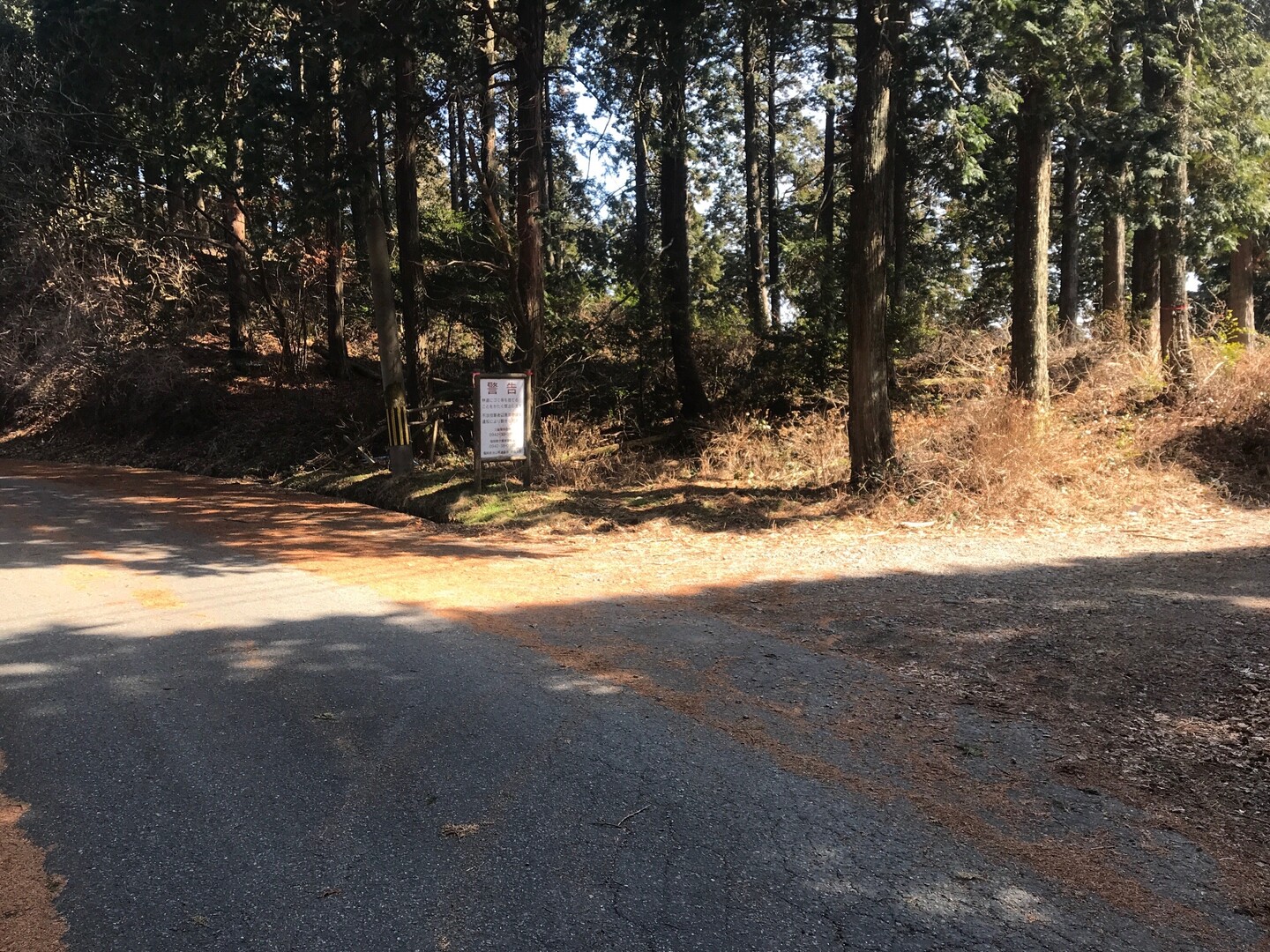 Shimaさんの投稿したフィールドメモ | YAMAP / ヤマップ