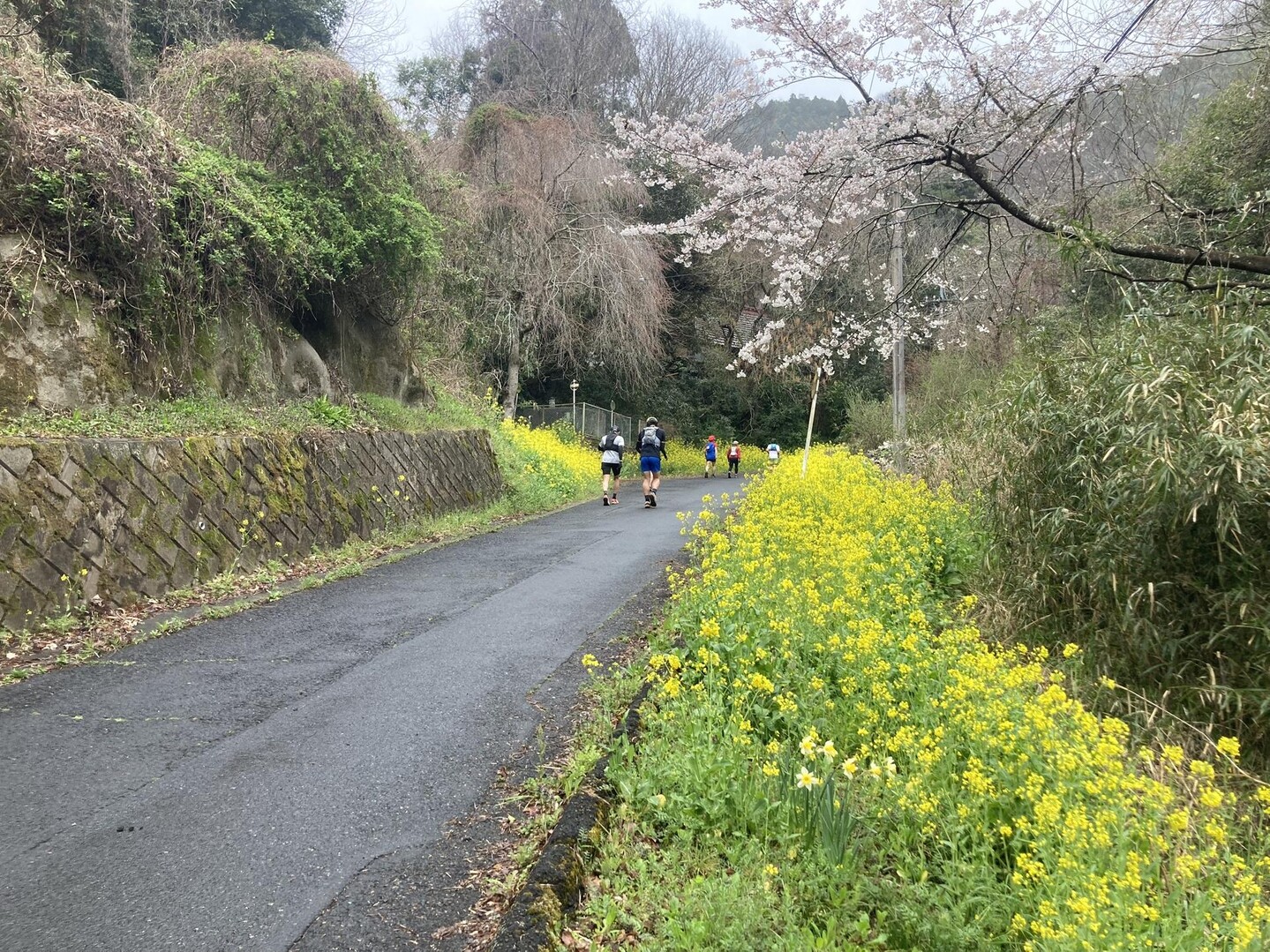 諸沢悶絶マラソン MMMに参加。 / よねさんの奥久慈男体山・月居山・篭岩（篭岩山）の活動データ | YAMAP / ヤマップ