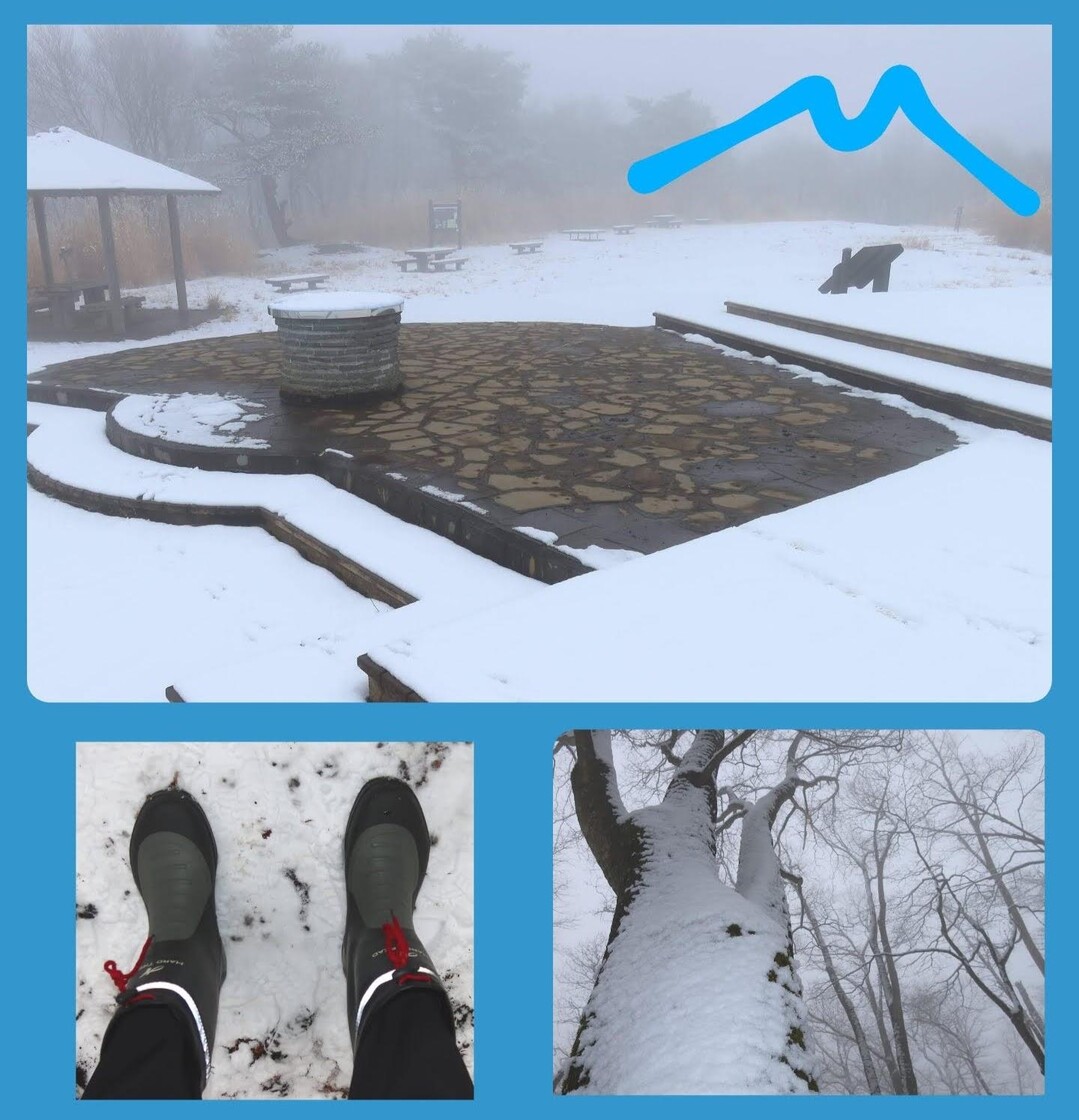 紅葉台・三湖台へ雪さんぽ ️ / kunsanさんの節刀ヶ岳・破風山・足和田山の活動日記 | YAMAP / ヤマップ