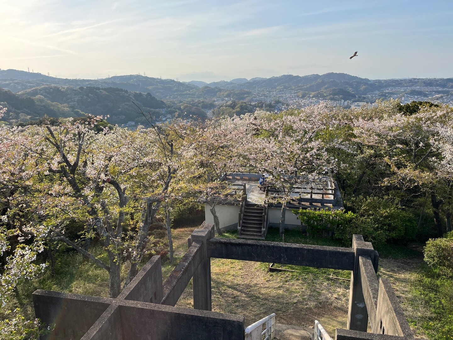 鷹取山-乳頭山-畠山-大楠山-衣笠山 / Y-kobaさんの三浦アルプス・二子山・仙元山の活動データ | YAMAP / ヤマップ