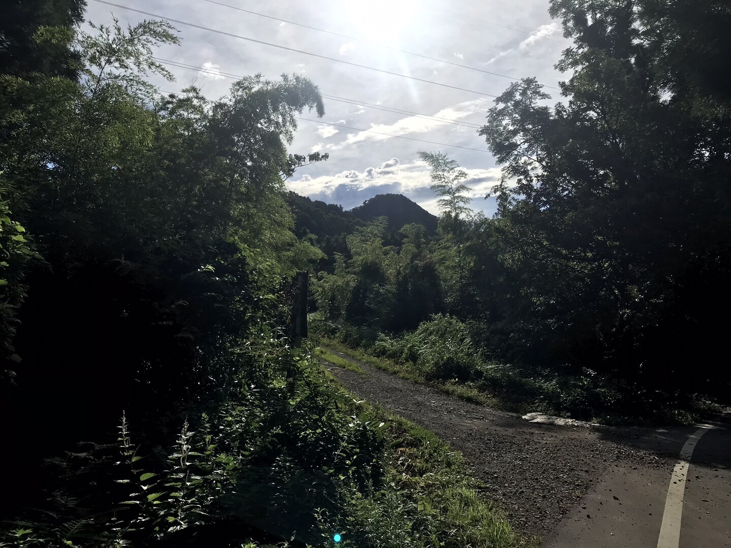 尖山 / Matchan.さんの尖山の活動データ | YAMAP / ヤマップ