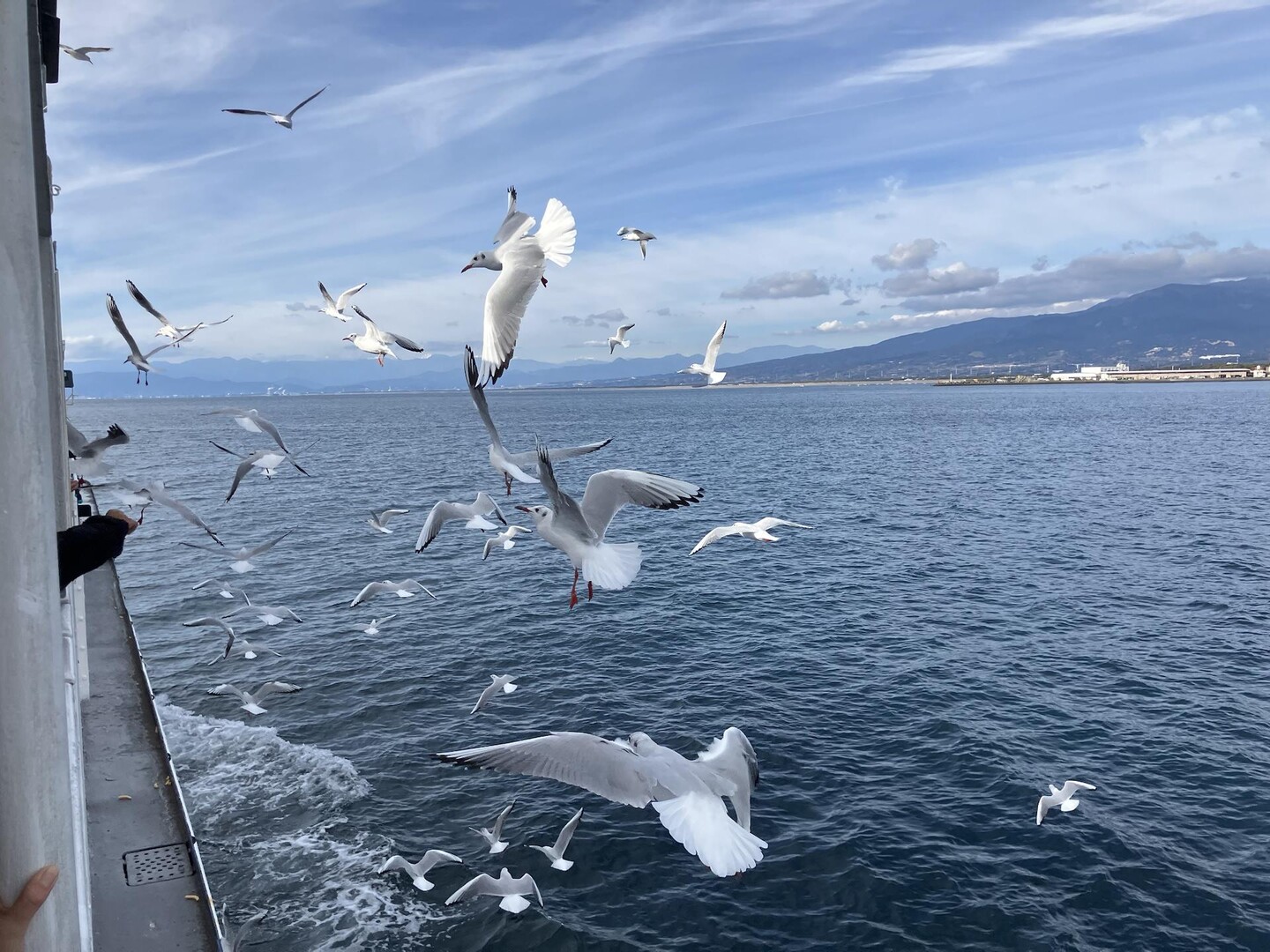 2014年 年末家族旅行 沼津港 箱根大... / 平四郎さんのモーメント | YAMAP / ヤマップ