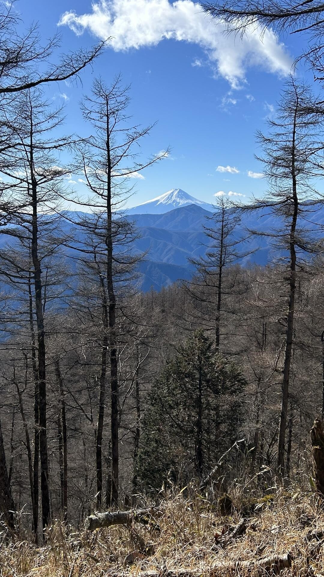 富士見チャレンジ！冬の雲取山☁️ / tarsさんの雲取山・鷹ノ巣山・七ツ石山の活動データ | YAMAP / ヤマップ