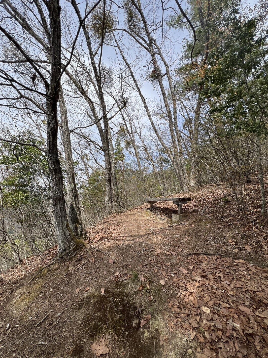 ayaさんの投稿したフィールドメモ | YAMAP / ヤマップ