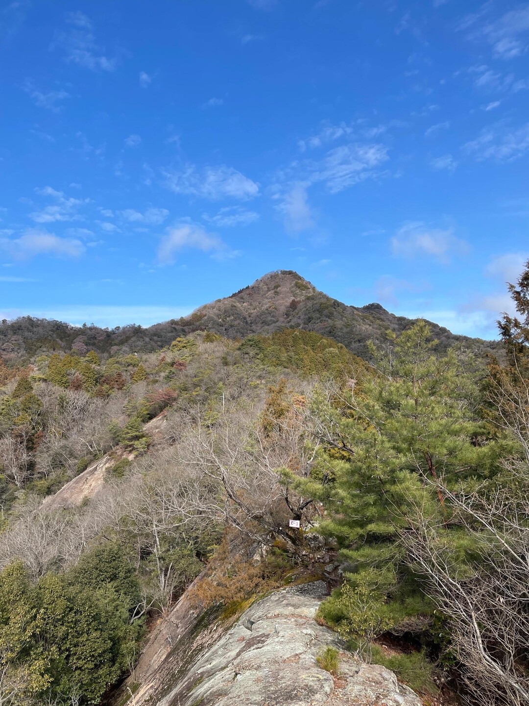 地蔵岳・明神山・大熊の頭・西の丸 / honensanさんの明神山・太郎岳の活動データ | YAMAP / ヤマップ