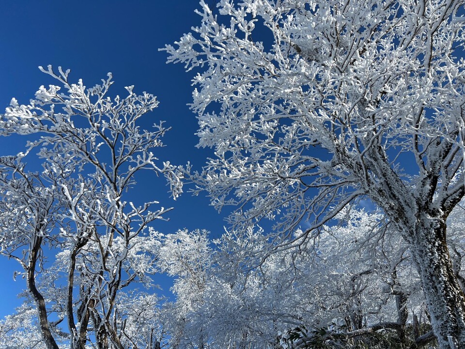 三室山登山口-三室山 往復コースの地図・登山ルート・登山口情報 | YAMAP / ヤマップ
