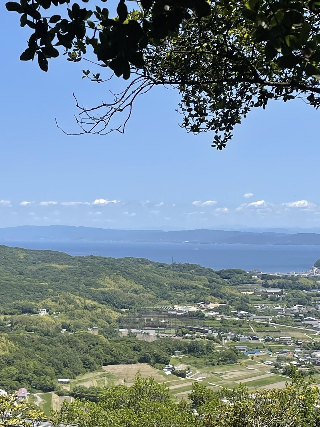 少しひんやりの風が気持ちいい新緑の先山 / Tsu.zukkiさんの淡路島の活動データ | YAMAP / ヤマップ