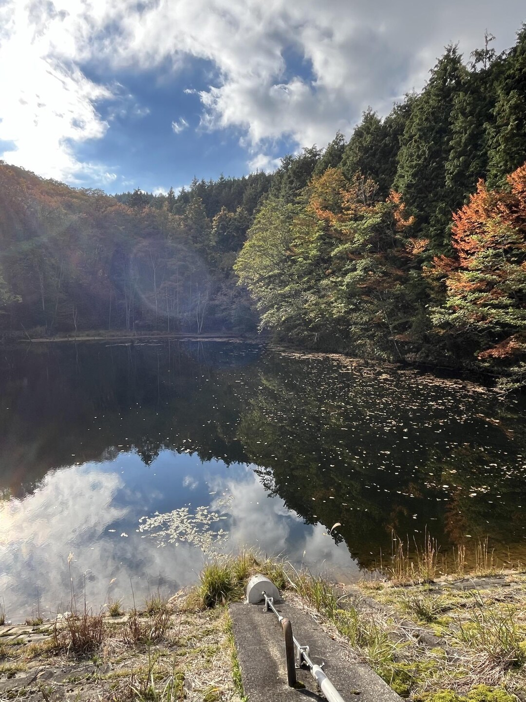 西山（曽良山・鶴岡山） / gumiさんの曽良山（鶴岡山・西山）の活動日記 | YAMAP / ヤマップ