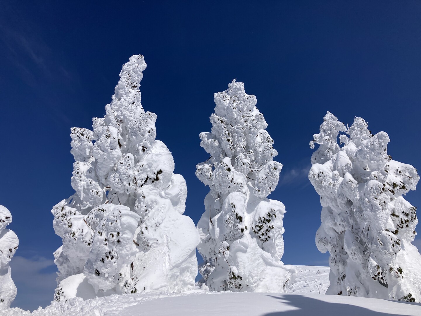 南大阪マウンテンミーティング3M / YAMAP の山コミュニティ | YAMAP / ヤマップ