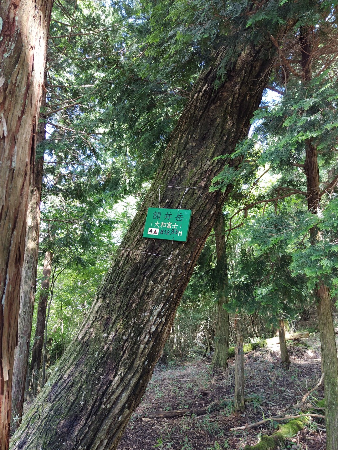 額井岳(大和富士) / small422さんの額井岳の活動データ | YAMAP / ヤマップ