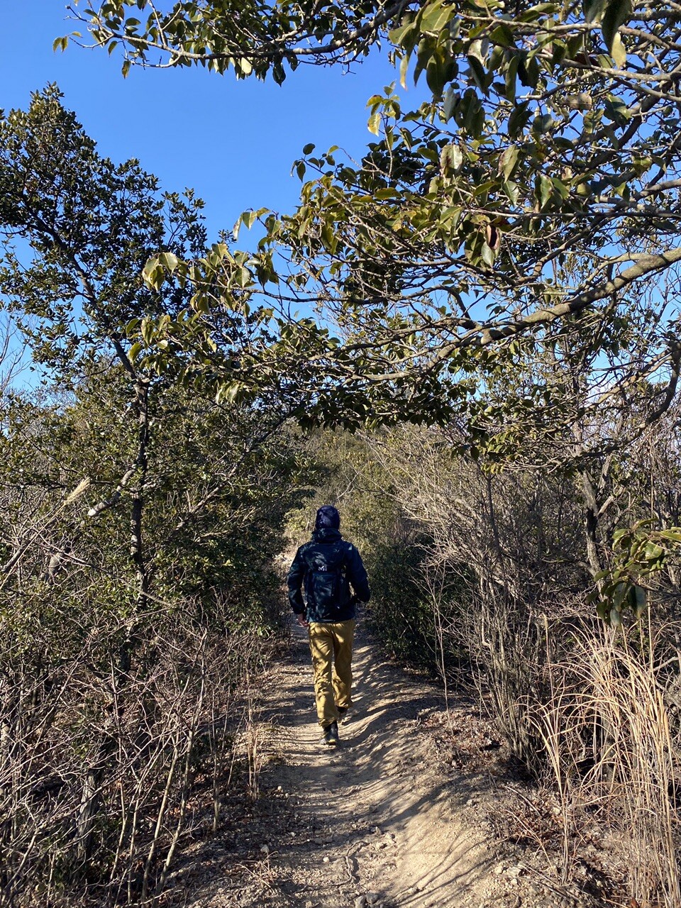 GUYのページ | YAMAP / ヤマップ