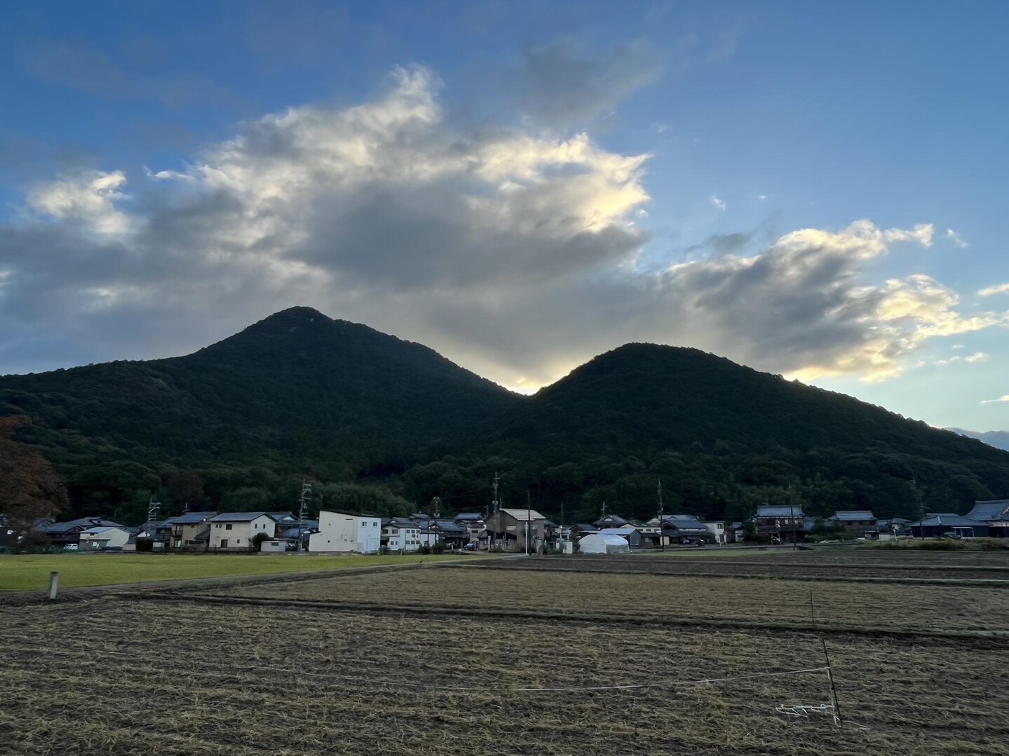 314-806 三上山（近江富士） / nikomoさんの三上山・鏡山の活動データ | YAMAP / ヤマップ