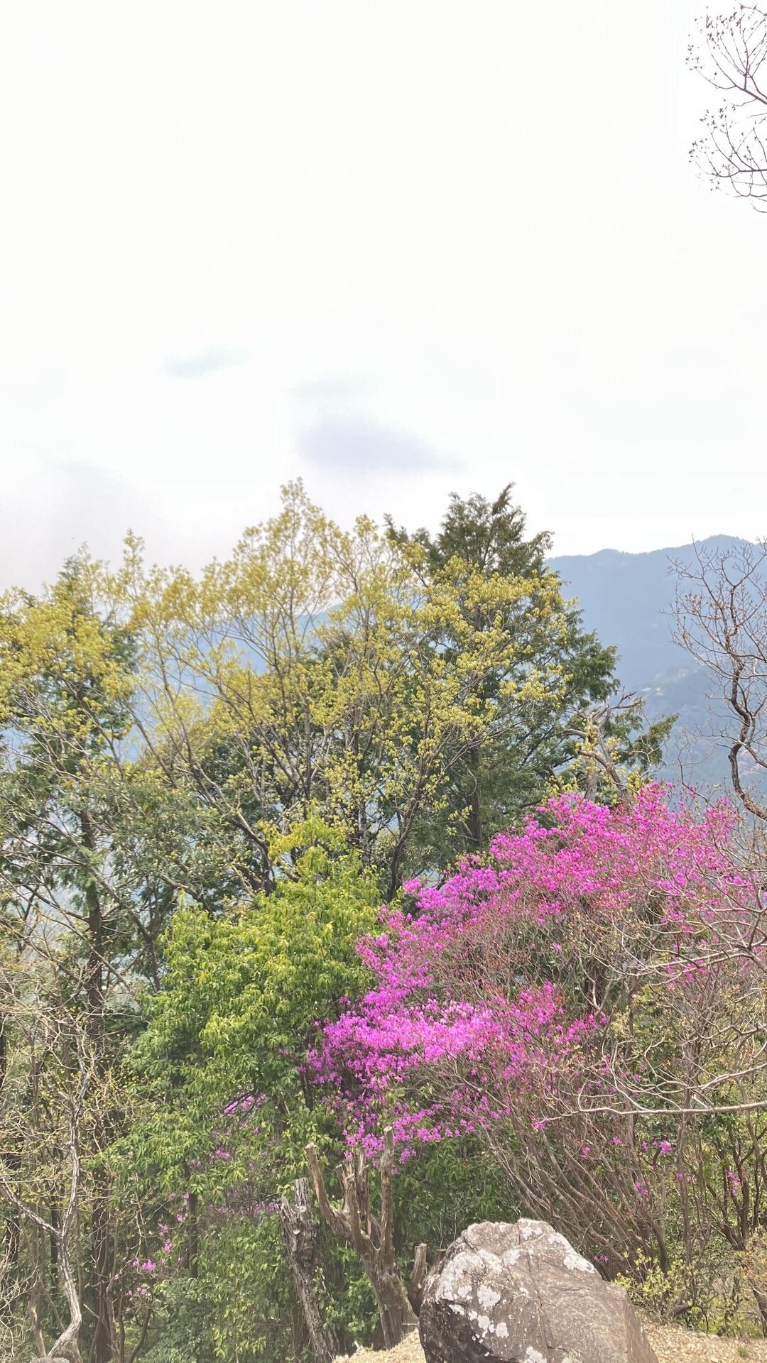 久しぶりの山歩き 本宮山 / 6DMEさんの本宮山・大日山・風頭山の活動データ | YAMAP / ヤマップ