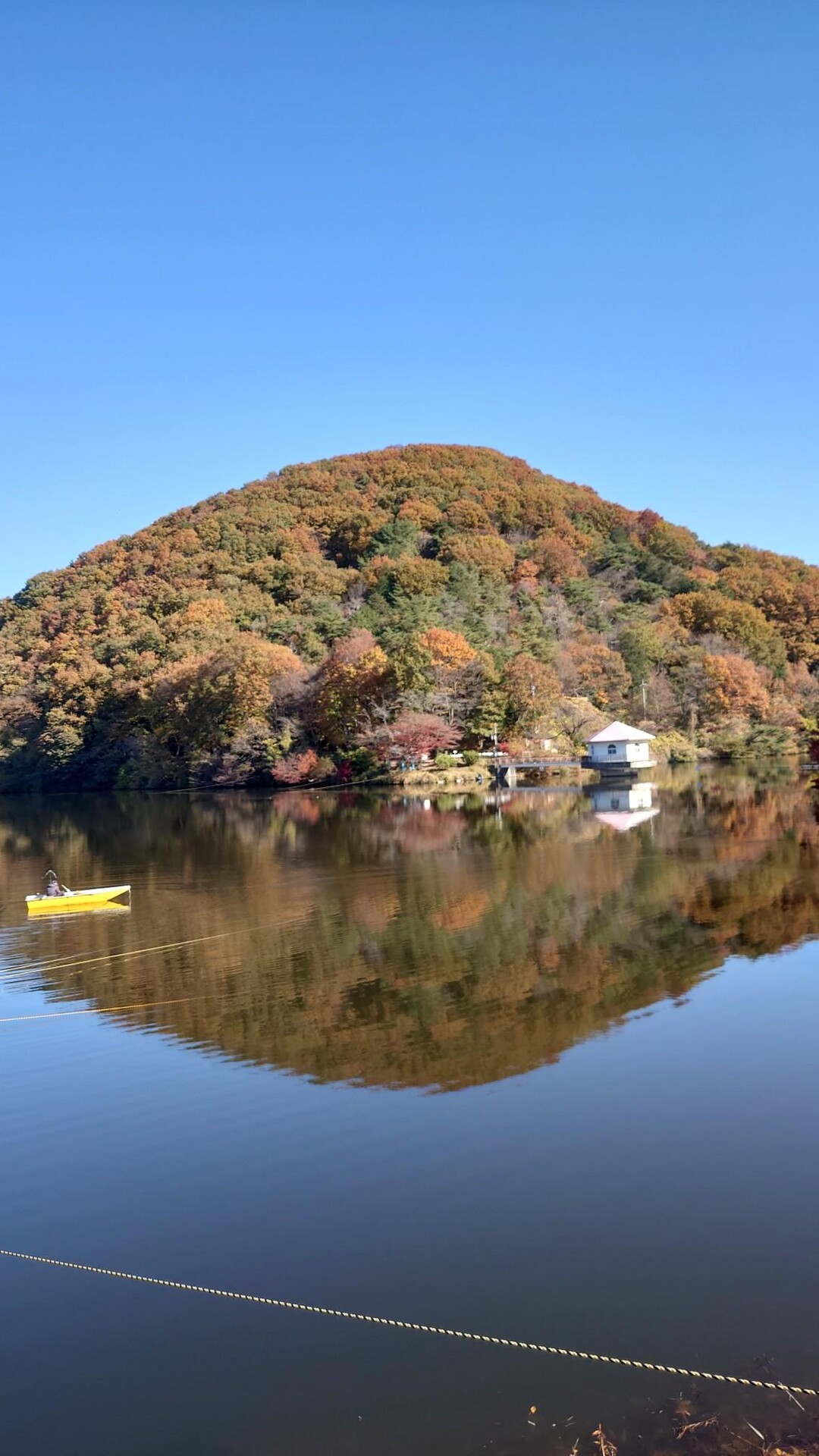 鐘撞堂山 / Mr.Makotoさんの宝登山・長瀞アルプス・不動山・陣見山・鐘撞堂山の活動データ | YAMAP / ヤマップ