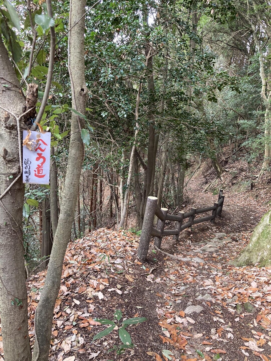 四国遍路-42日目 / Aokatiさんの四国遍路その15の活動データ | YAMAP / ヤマップ