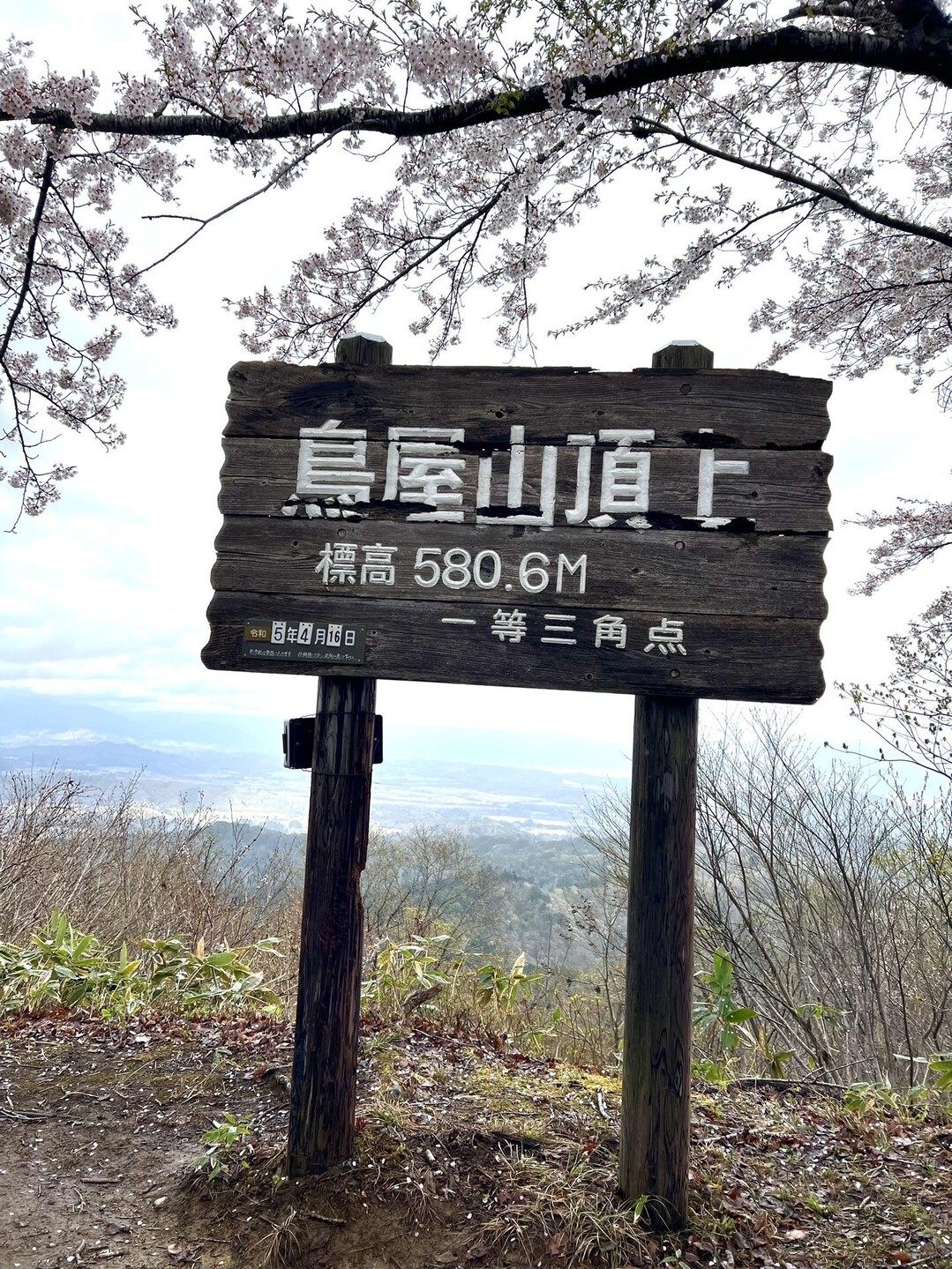 鳥屋山へGO ️ / ゆきもさんの鳥屋山の活動データ | YAMAP / ヤマップ