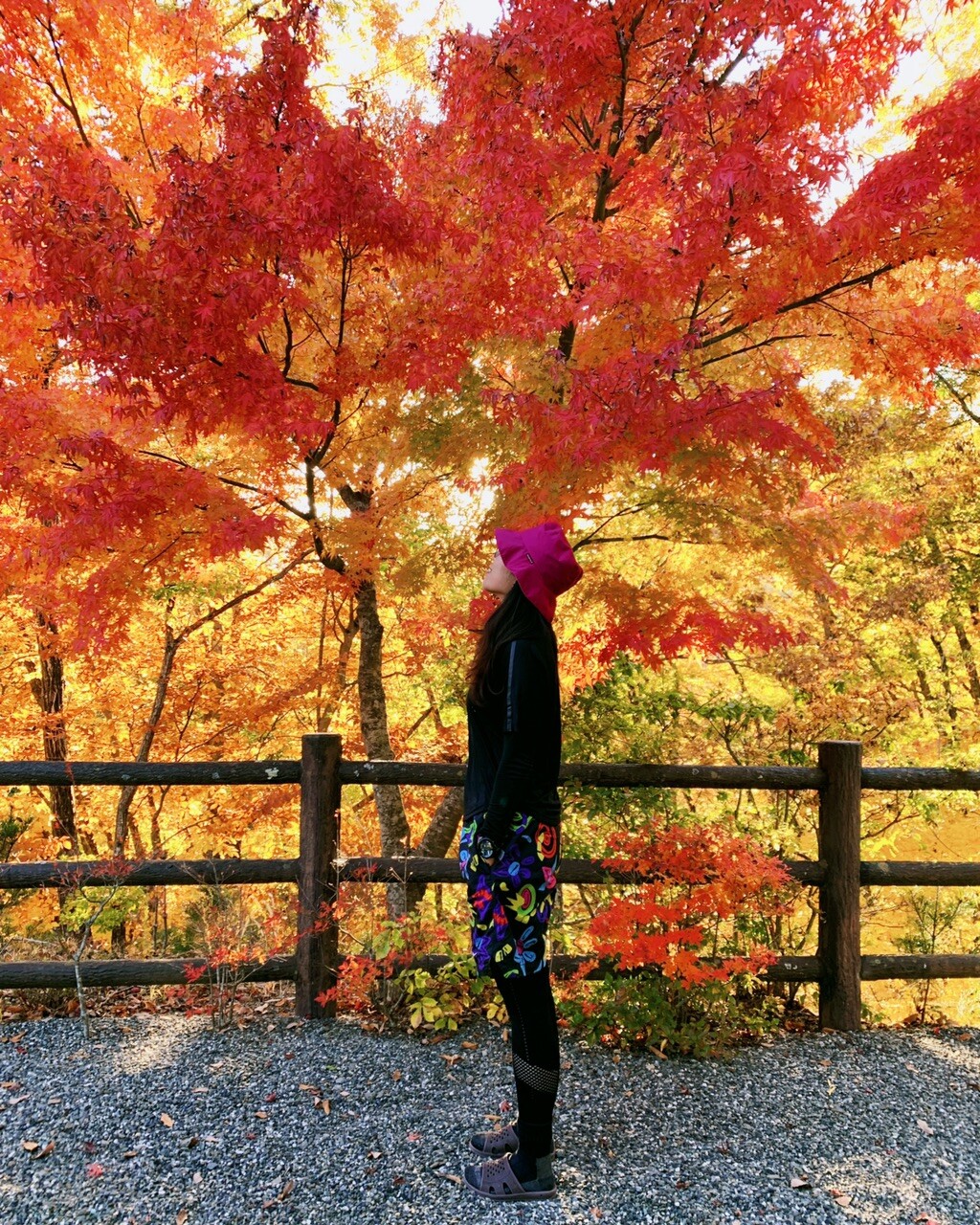 HARUハルのページ | YAMAP / ヤマップ