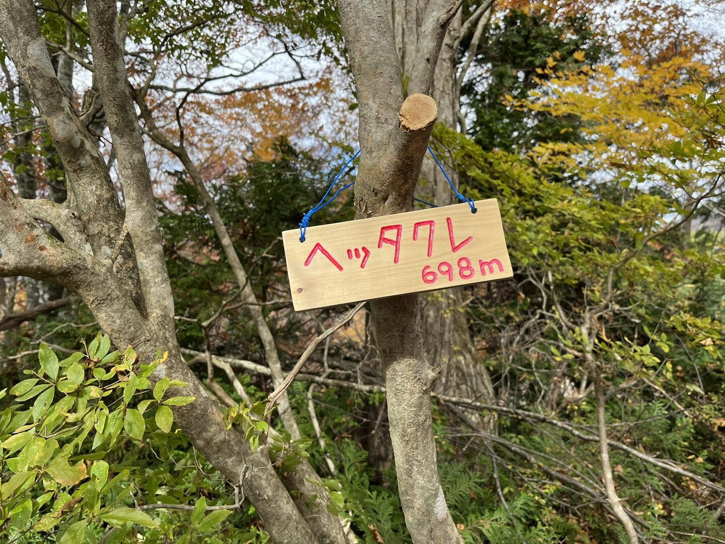 ヘッタクレ・不動岳 / sue sannさんの南昌山・東根山・箱ヶ森の活動日記 | YAMAP / ヤマップ