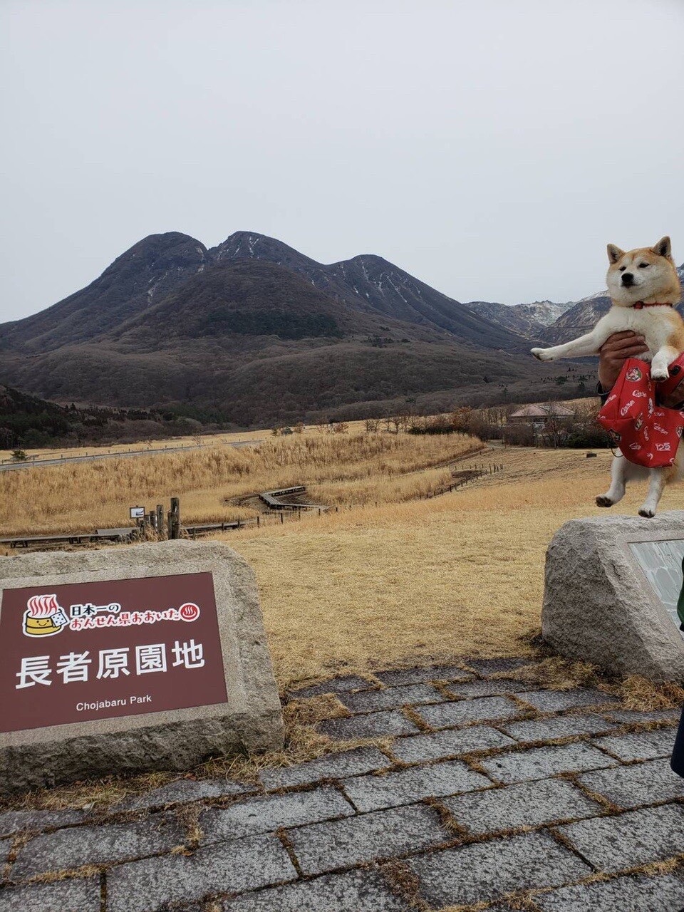 ニコちゃんに叱られる🐧 Don't sleep through life! / ケンPさんのウォーキングの活動データ | YAMAP / ヤマップ