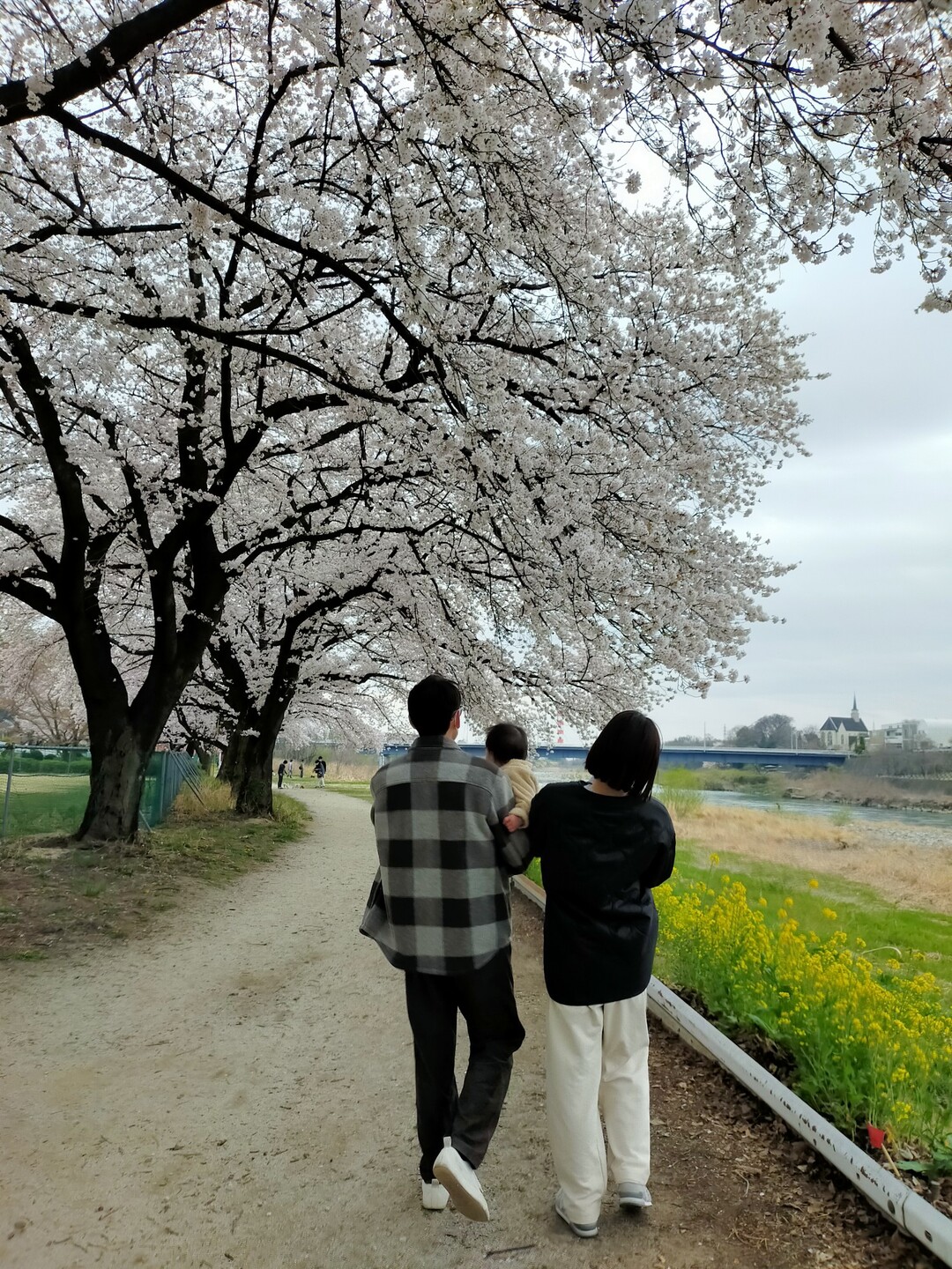 11ヶ月の孫とお花見。私の庭の桜🌸🌸... / Berryさんのモーメント | YAMAP / ヤマップ