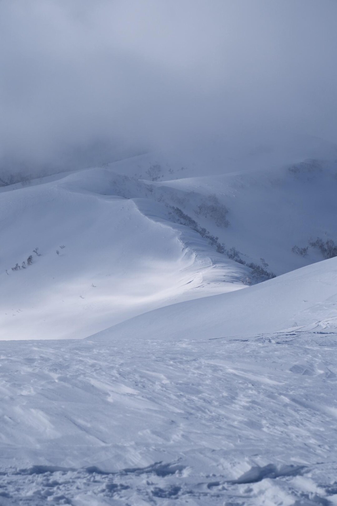 ワイスホルン / higeさんのニセコアンヌプリ・イワオヌプリ・チセヌプリの活動データ | YAMAP / ヤマップ