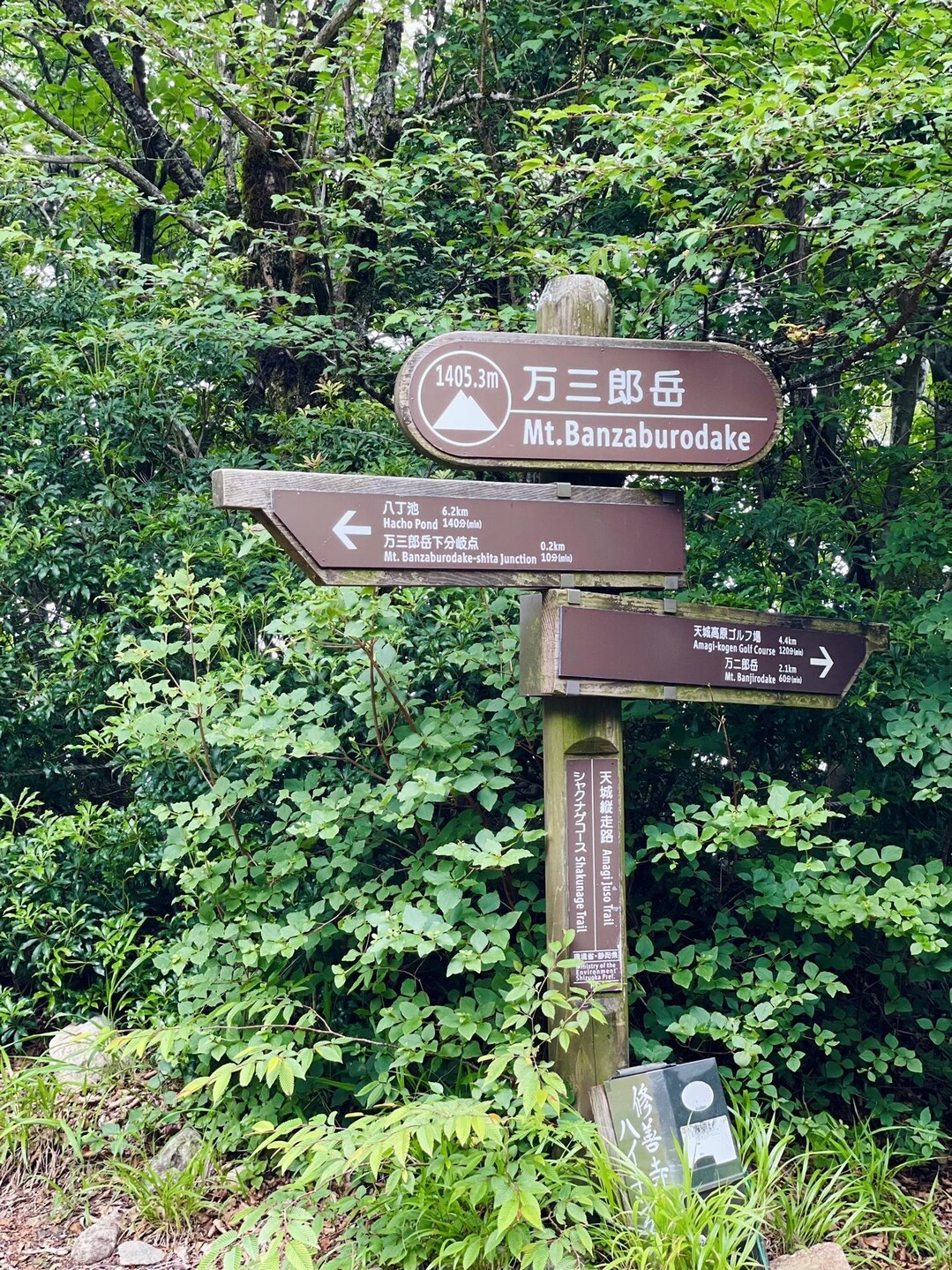 万三郎岳（天城山）・万二郎岳（天城山） / nikkoさんの天城山・鉢ノ山・三筋山の活動データ | YAMAP / ヤマップ