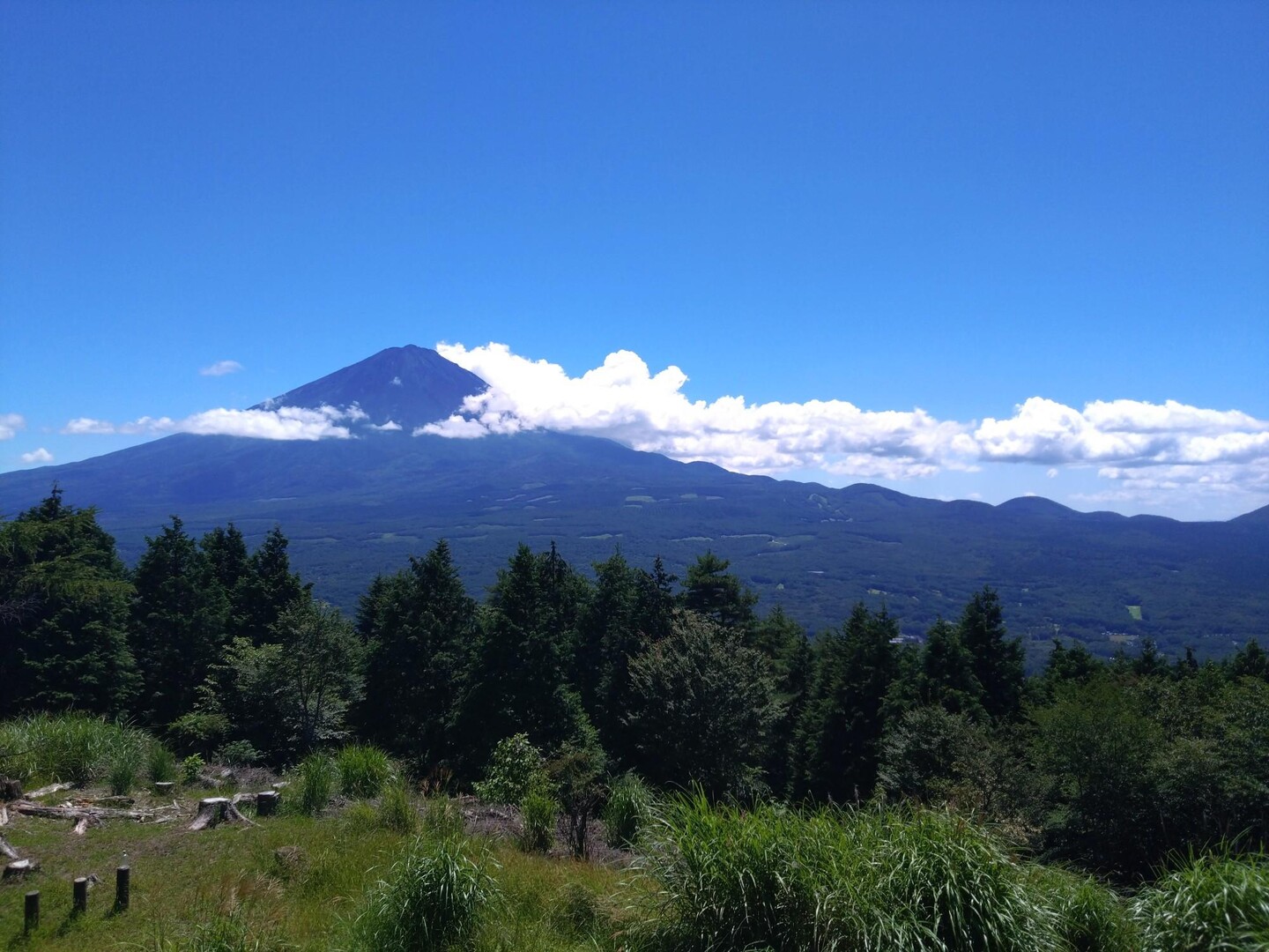 羽根子山・段和山・足和田山(五湖台)・三湖台・紅葉台 / masapiさんの節刀ヶ岳・破風山・足和田山の活動データ | YAMAP / ヤマップ