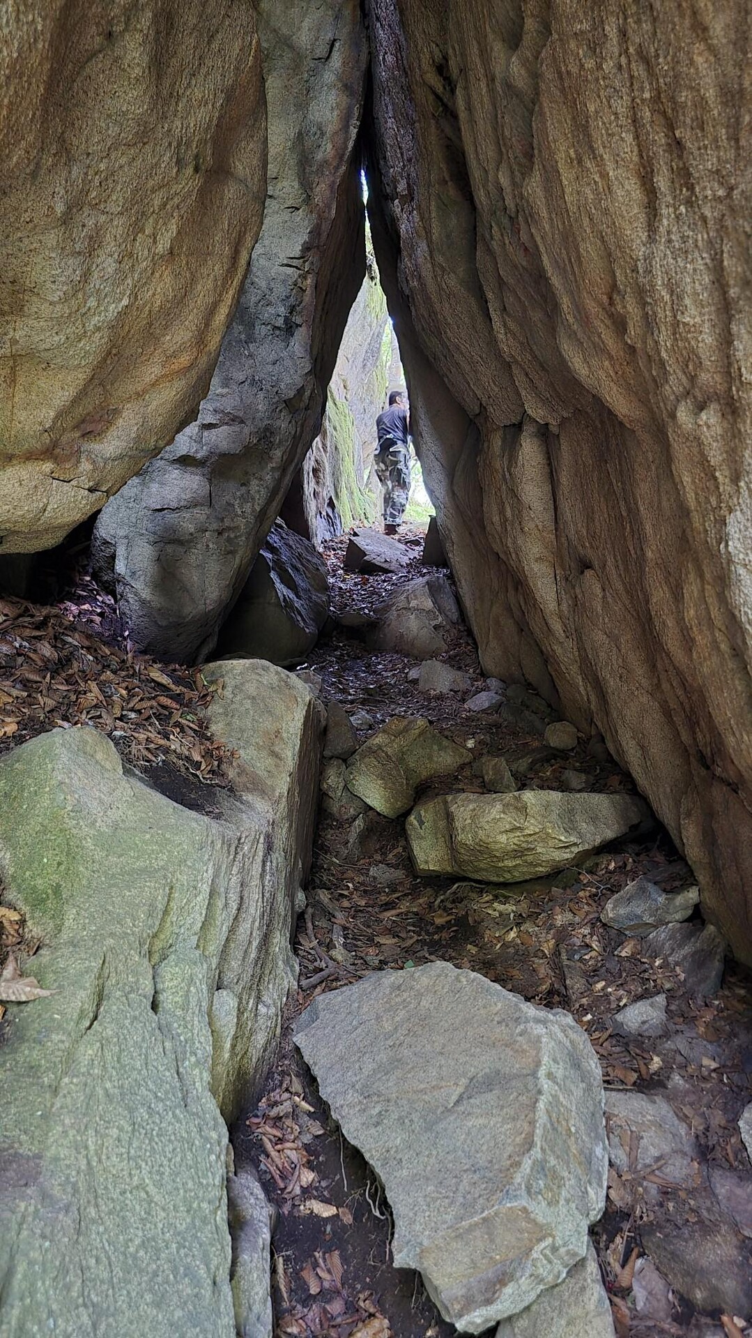 笠置山 CoCoさんのヒカリゴケ探し / masakiさんの笠置山の活動データ | YAMAP / ヤマップ