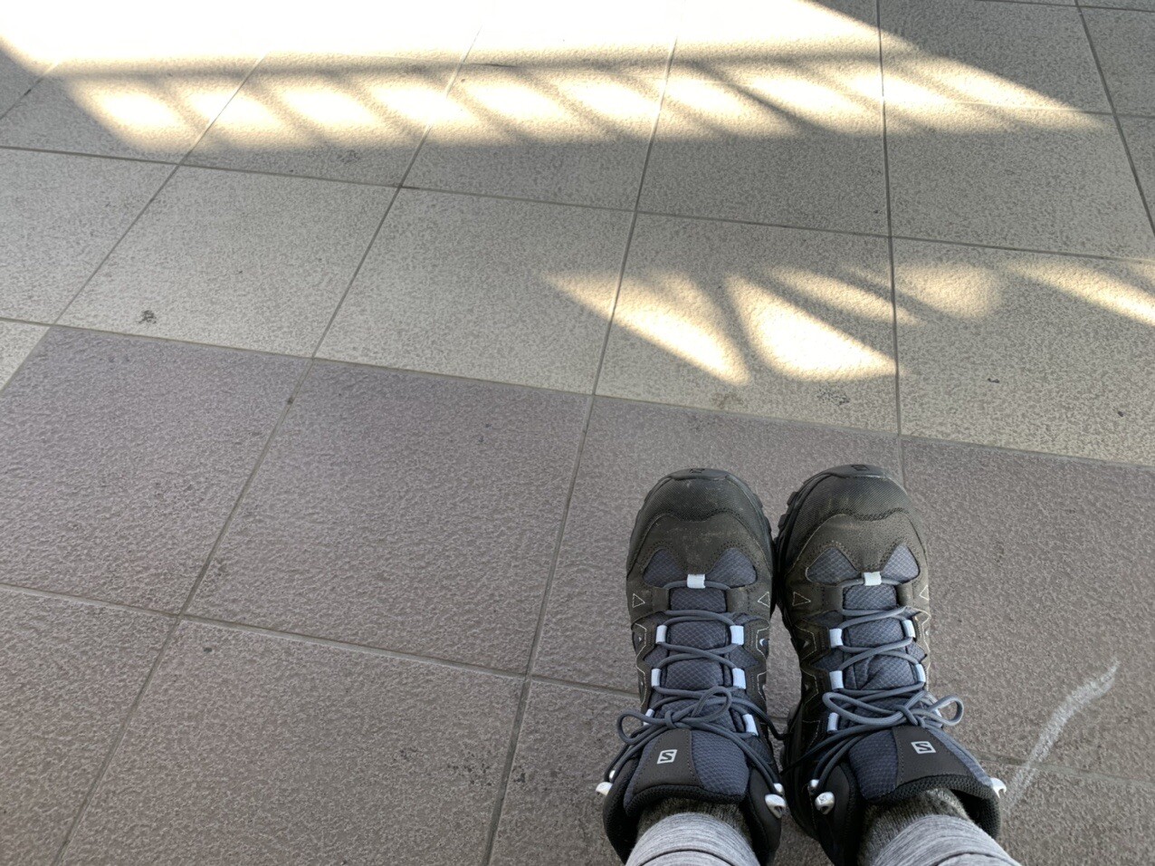 ソロハイキングデビュー🚃🗻 / cosyauさんのモーメント | YAMAP / ヤマップ