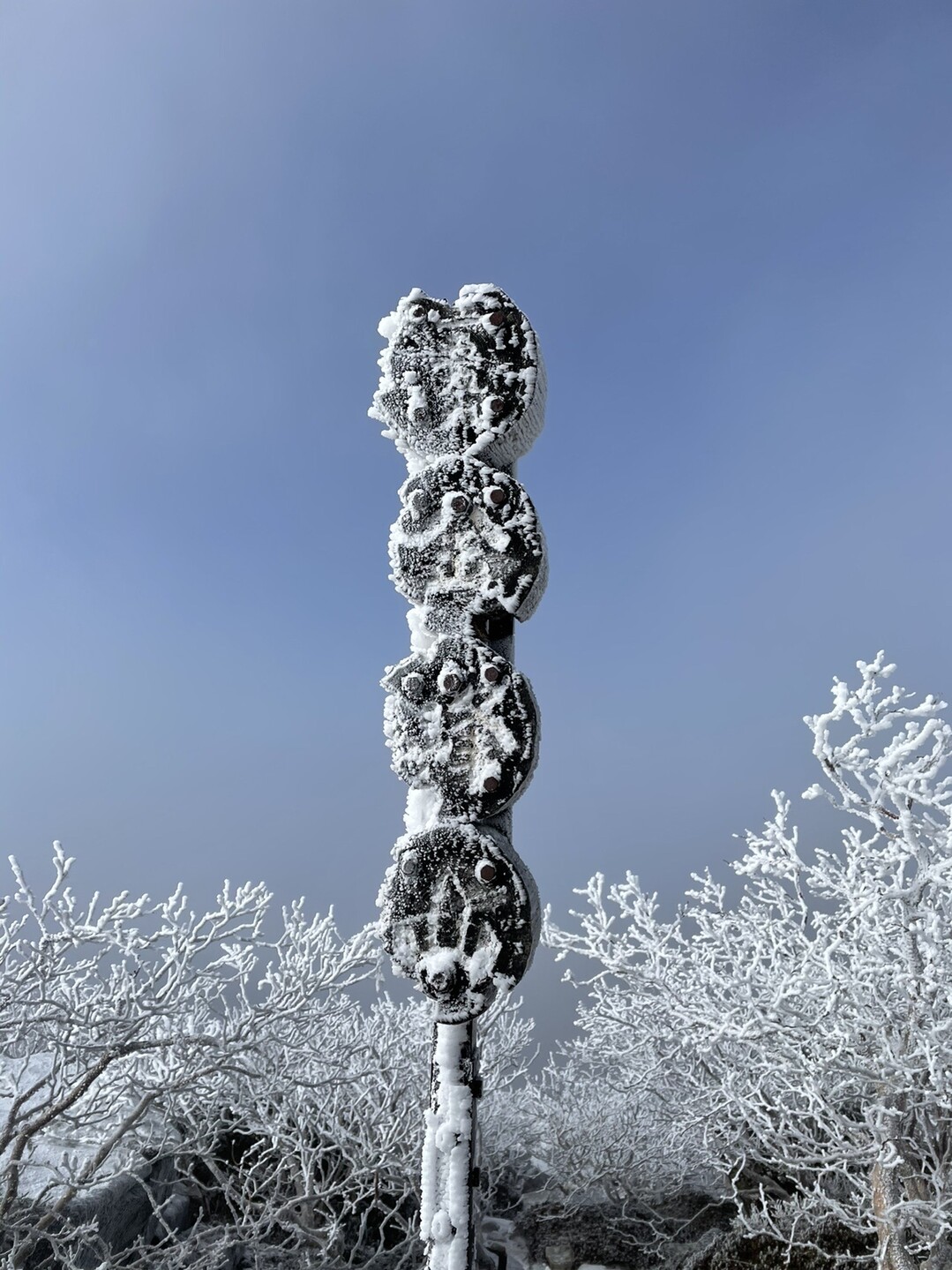 瑞牆・金峰周回 / Oh shuさんの瑞牆山・金峰山の活動データ | YAMAP / ヤマップ