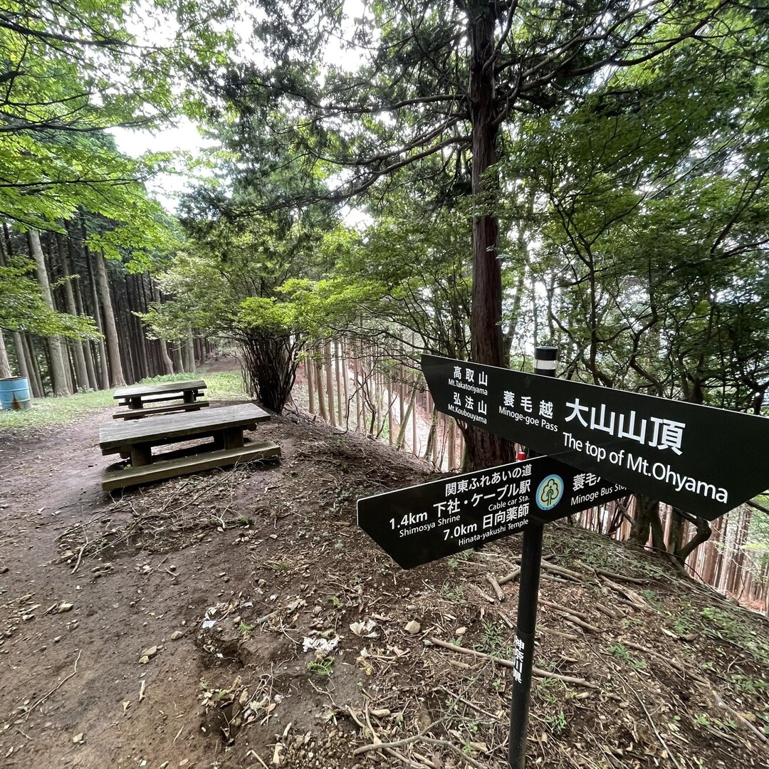 1年ぶりの山は大山へ / nabe_yoppyさんの大山の活動データ | YAMAP / ヤマップ