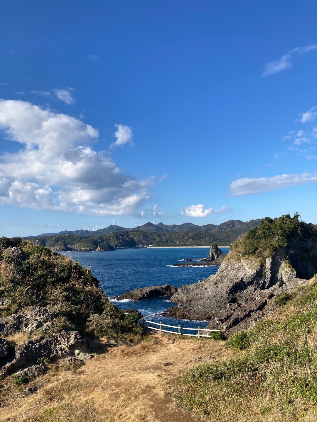 タライ岬遊歩道(健脚コース→海岸コース) / ふぁん太G3さんの南伊豆町の活動データ | YAMAP / ヤマップ