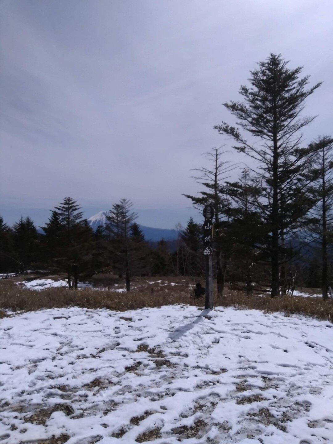 笹山、山伏 / K2.Rさんの山伏・八紘嶺・笹山の活動データ | YAMAP / ヤマップ