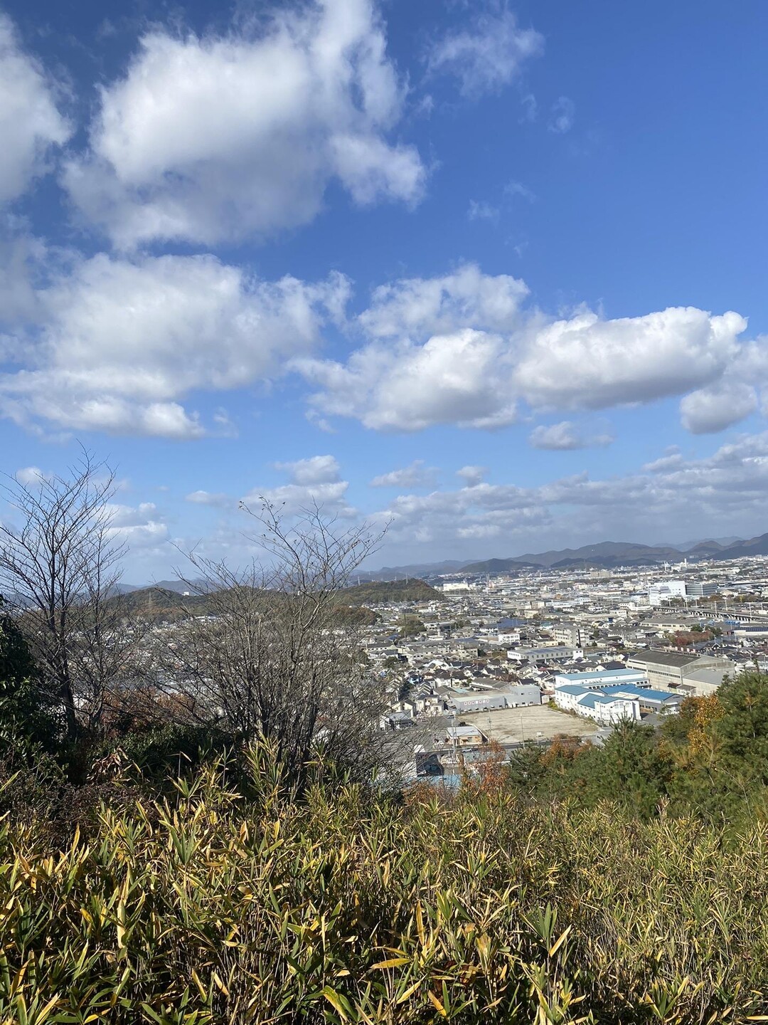 南山 / makiさんの高御位山・播磨アルプスの活動データ | YAMAP / ヤマップ