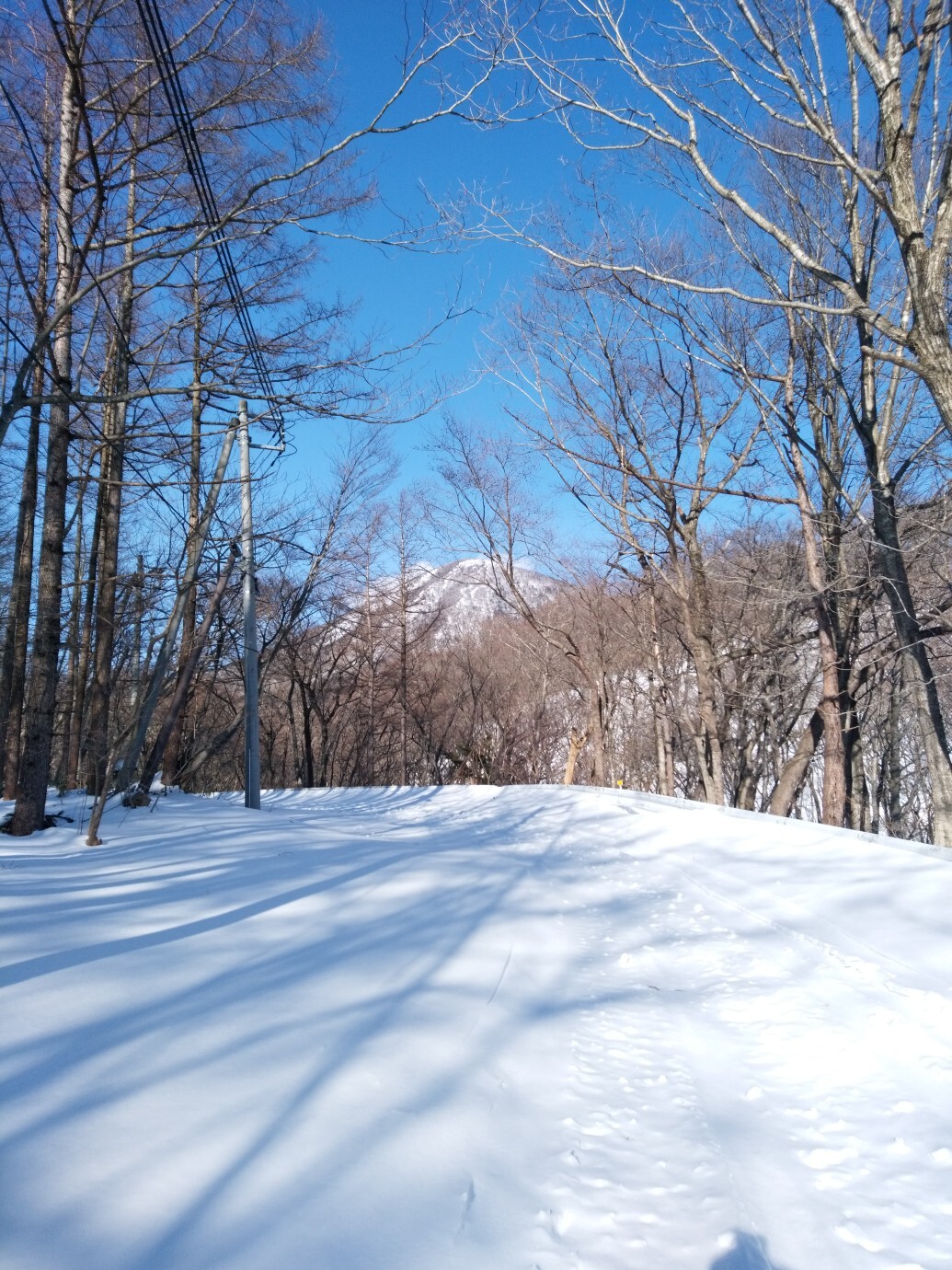 林道歩き～via沼原湿原の途中まで / coconut-yoyoさんの茶臼岳（那須岳）・三本槍岳・赤面山の活動データ | YAMAP / ヤマップ