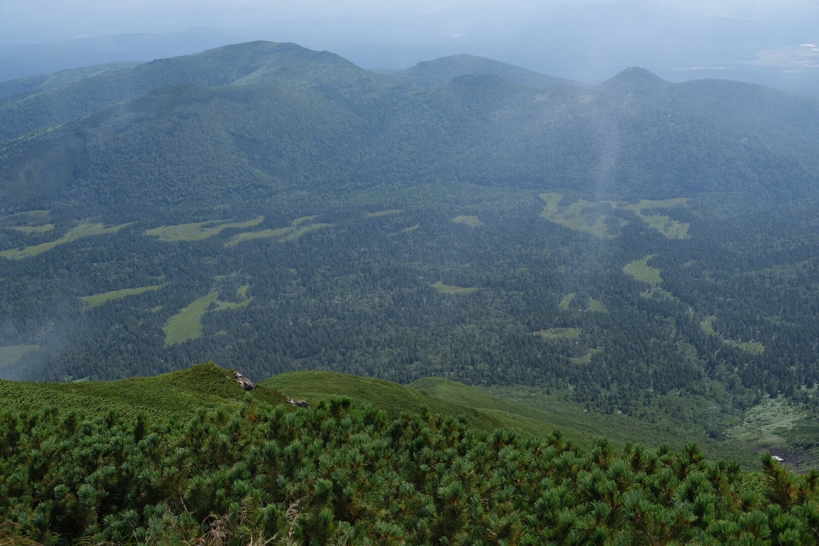 上富良野岳・上ホロカメットク山・三峰山・富良野岳 2019 08 18 十勝岳・富良野岳・美瑛岳の写真43枚目 原始ヶ原