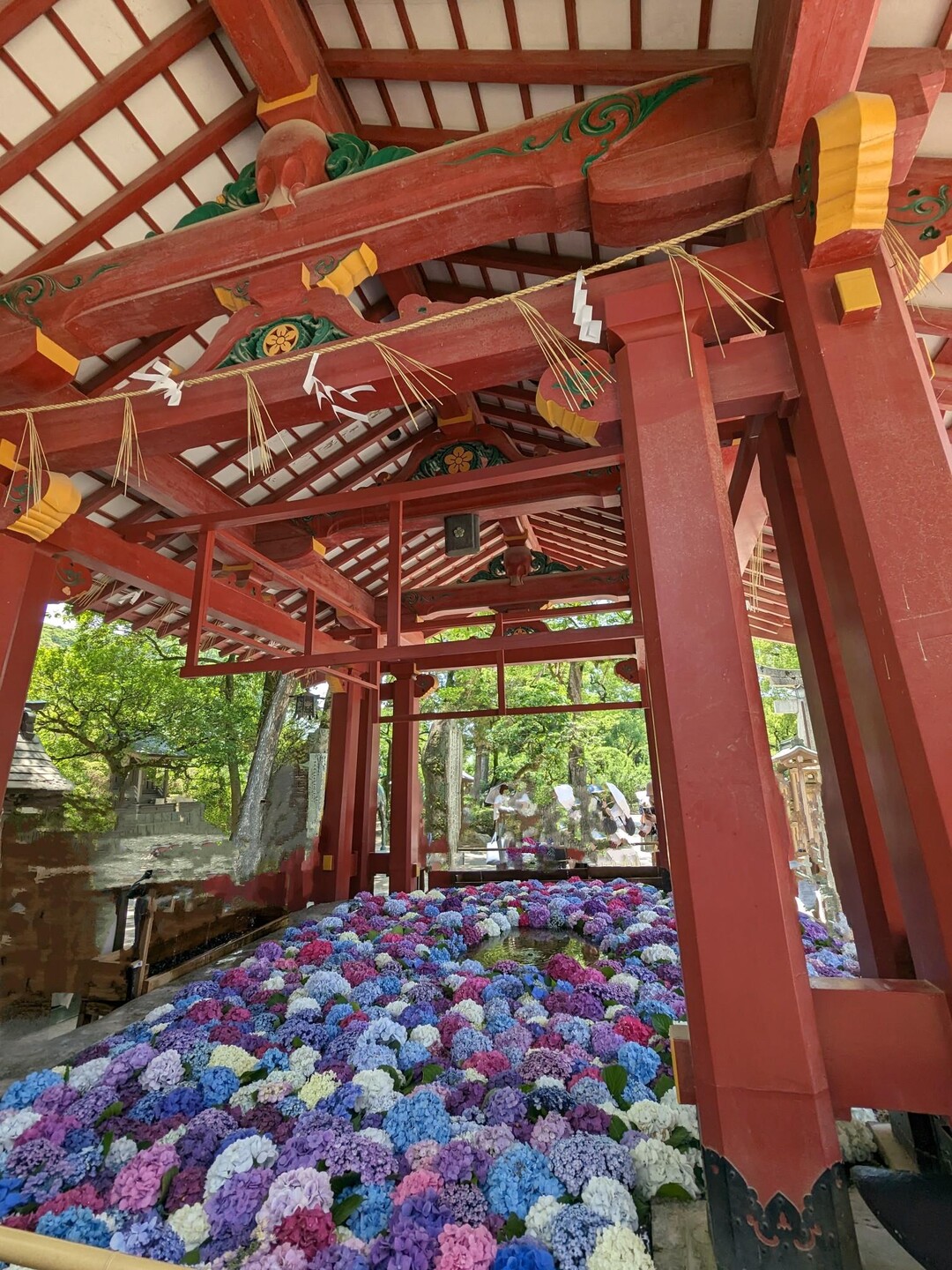 #梅雨の合間 #紫陽花さんぽ #仮殿素敵... / rie.tさんのモーメント | YAMAP / ヤマップ