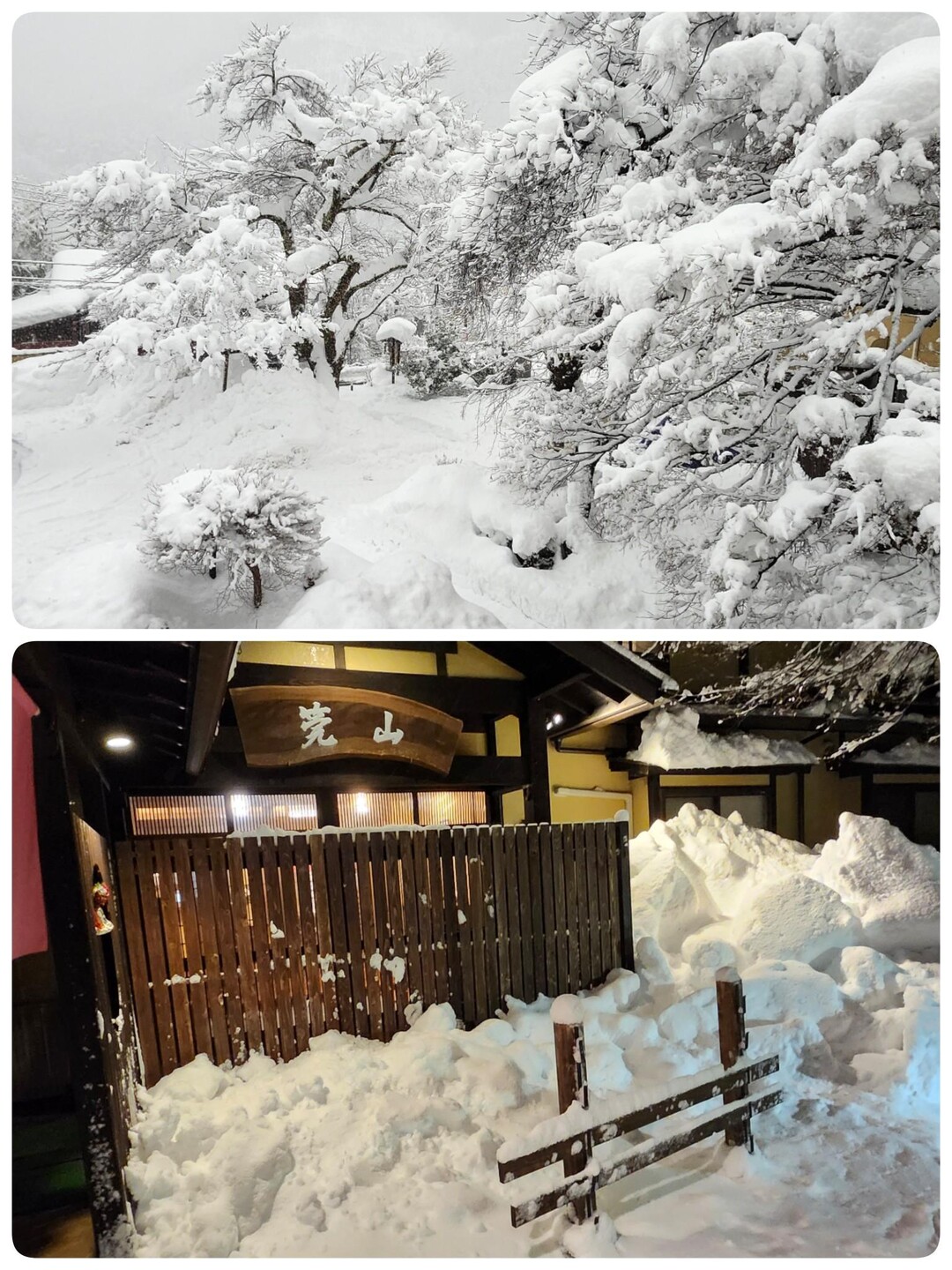 最高のWhite☃️X'masです 😍... / ぶんちゃーーんさんのモーメント | YAMAP / ヤマップ